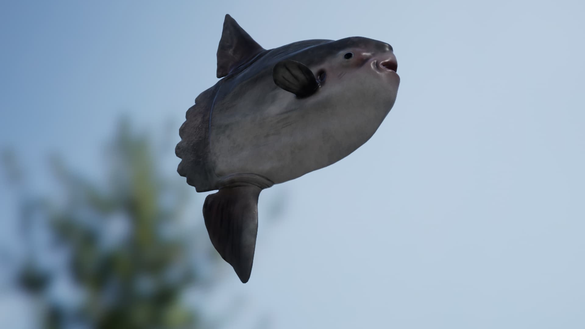 Sunfish in Characters - UE Marketplace