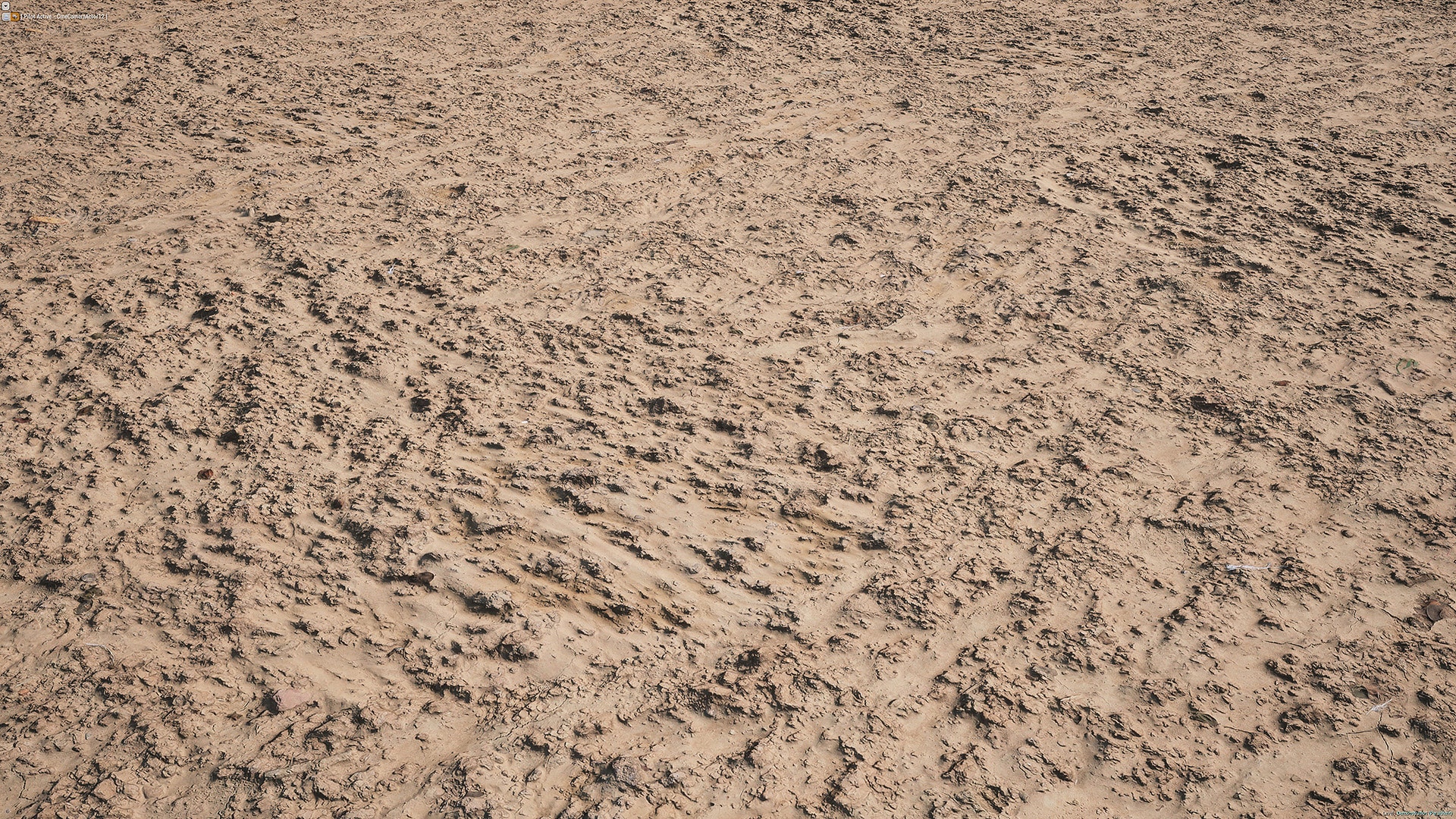 Megascans Desert Pack in Environments - UE Marketplace