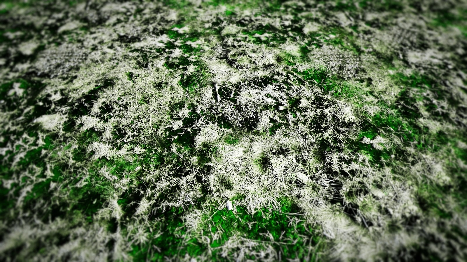 Landscape Texture Pack in Textures - UE Marketplace