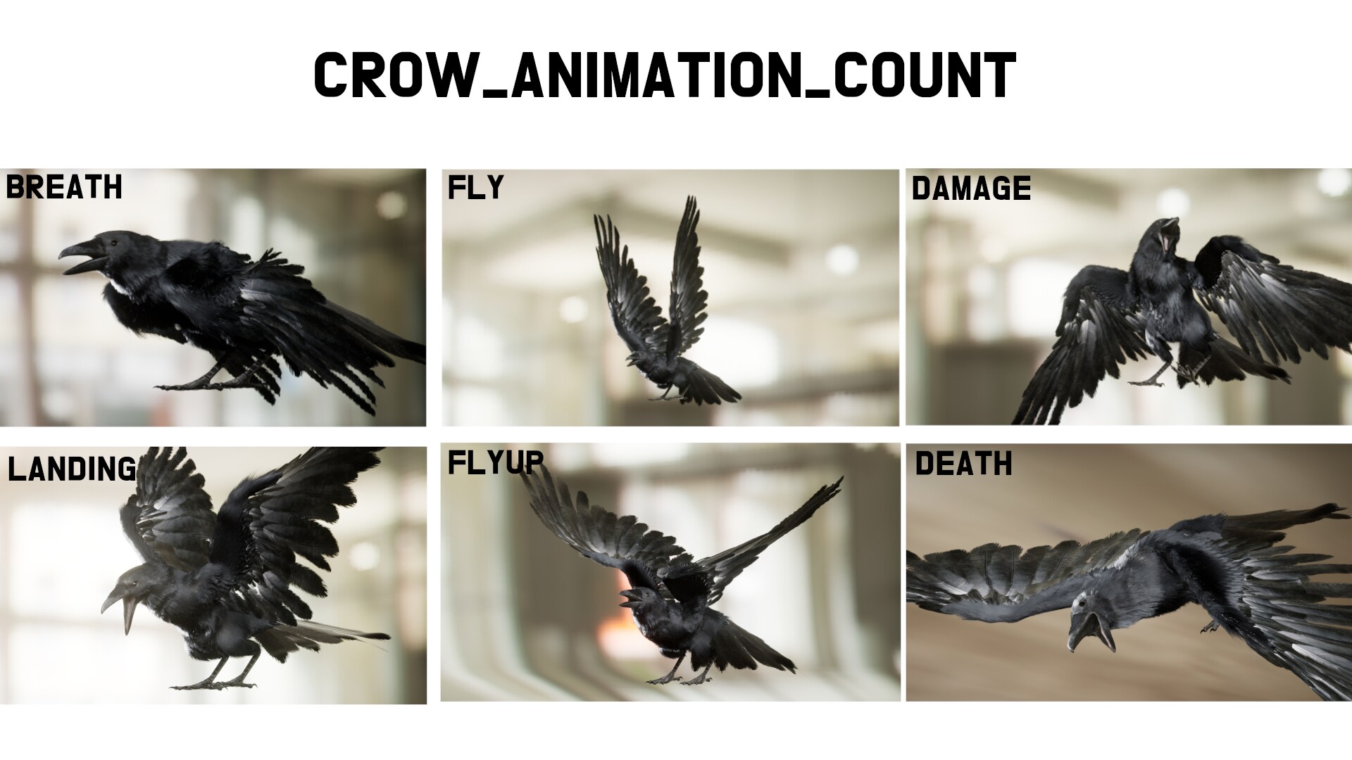 Crow in Characters - UE Marketplace