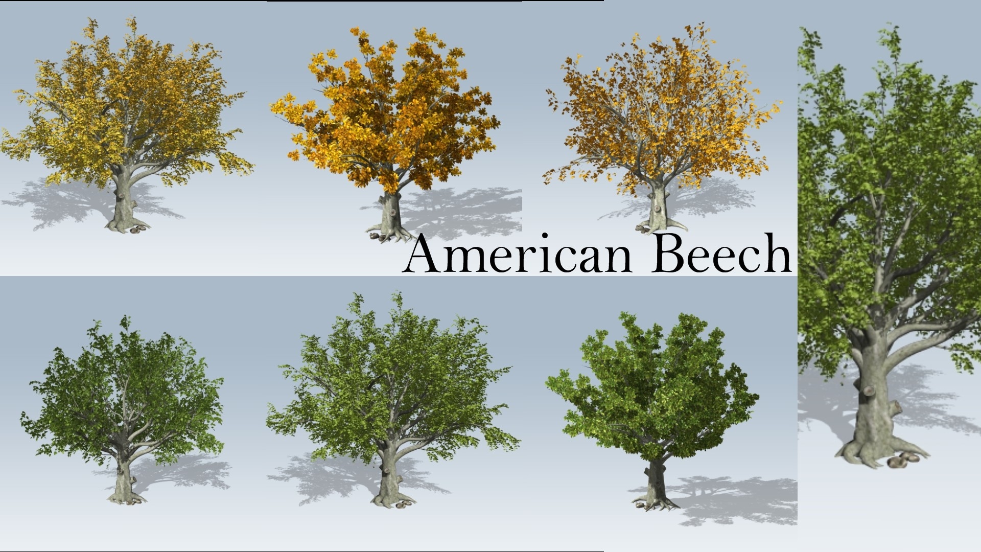 UEC Broadleaf Trees Pack 1 in Props - UE Marketplace