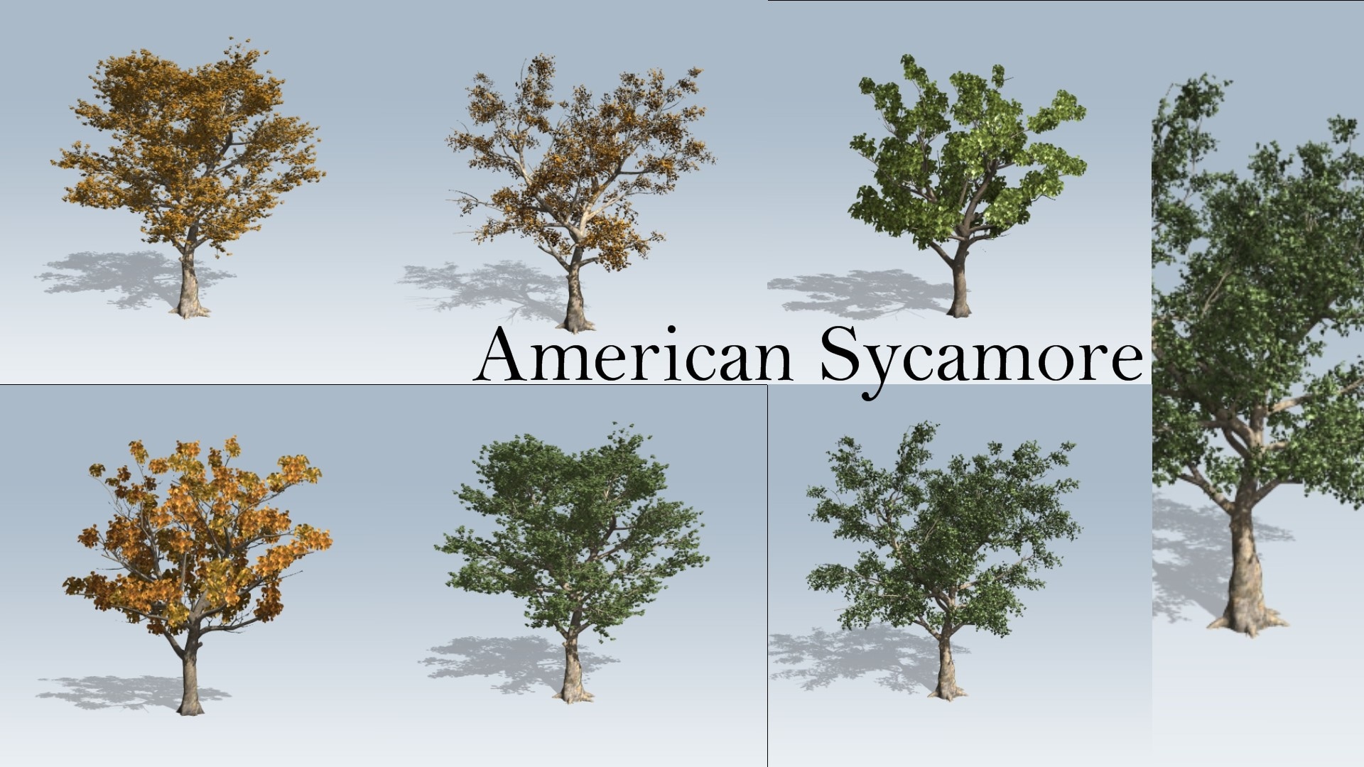 UEC Broadleaf Trees Pack 1 in Props - UE Marketplace