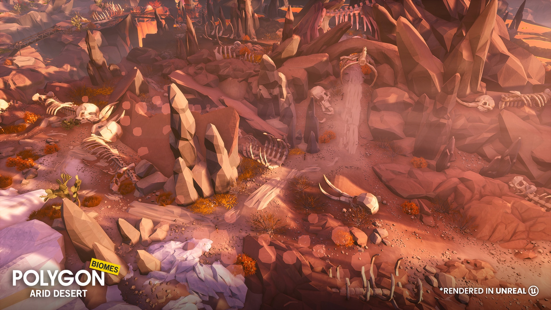 POLYGON - Arid Desert - Nature Biomes in Environments - UE Marketplace