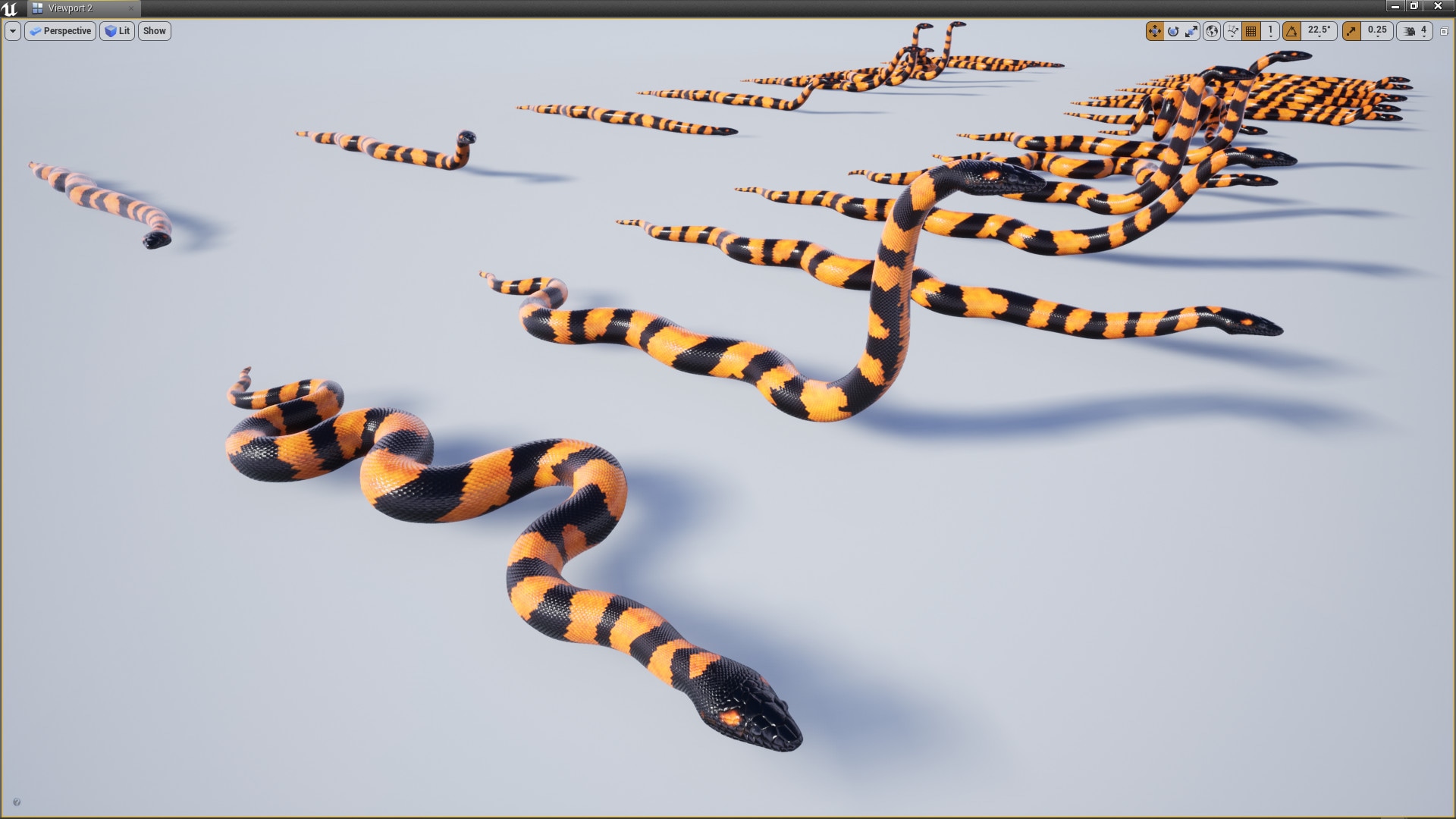 Bismarck Ringed Python – ASSET CLOUD Bismarck Ringed Python – ASSET CLOUD