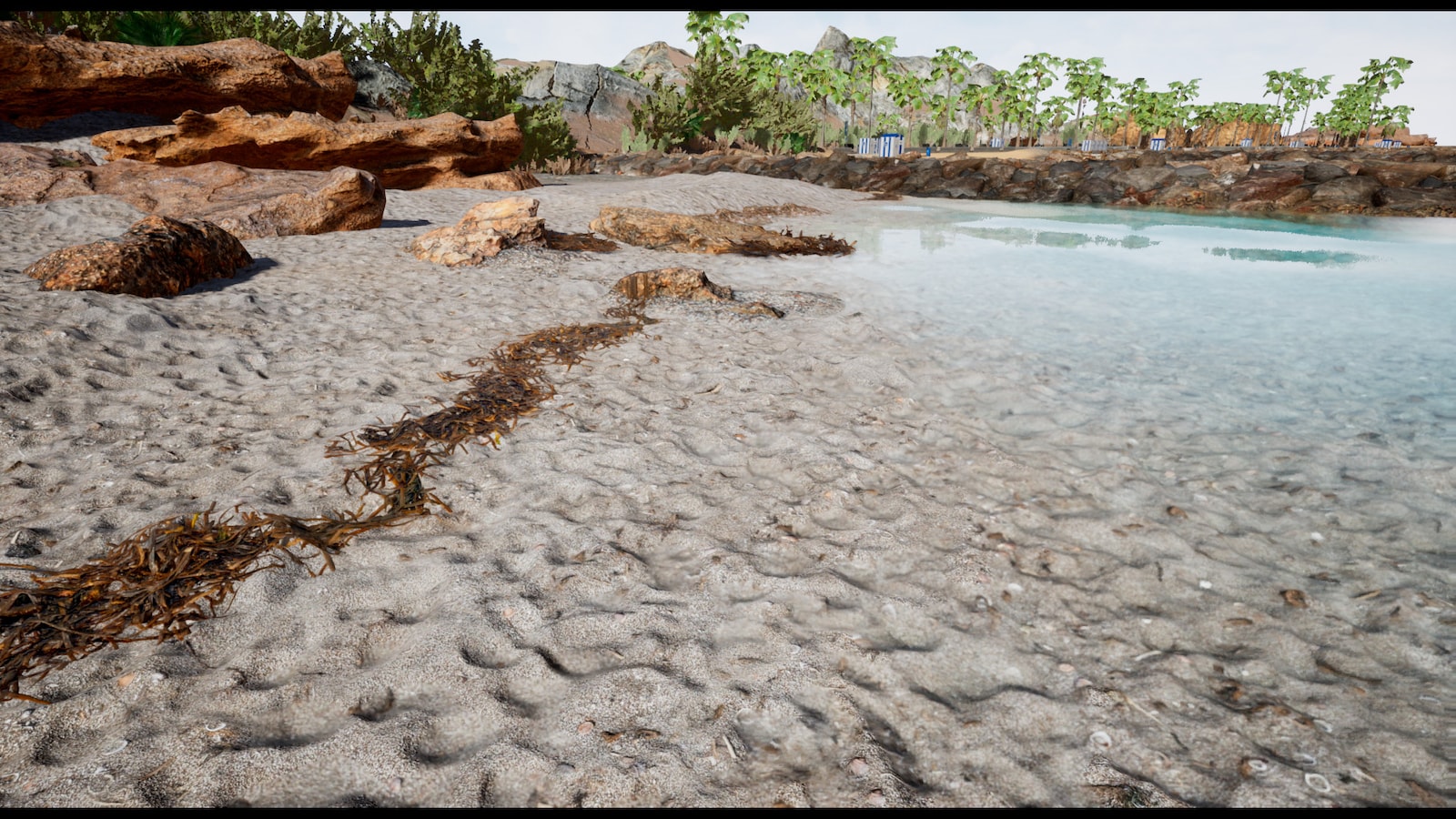 Beach Ecosystem