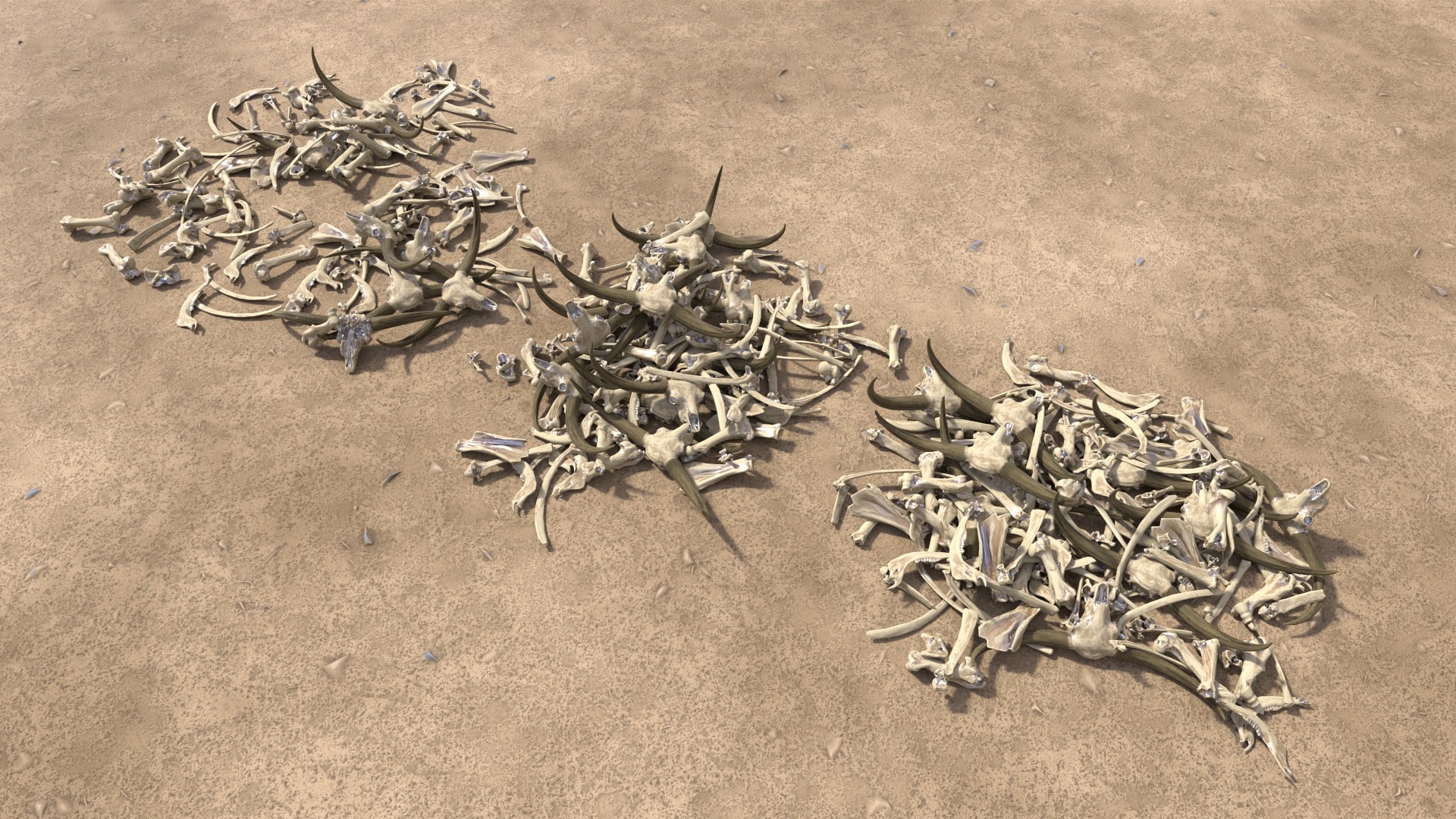 Pile Of Animal Bones