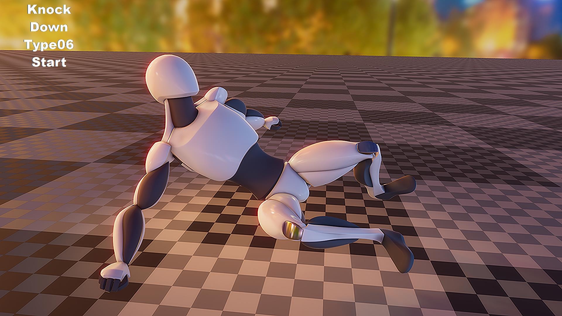 Boxing Animation Additional, 카테고리 애니메이션 - UE 마켓플레이스