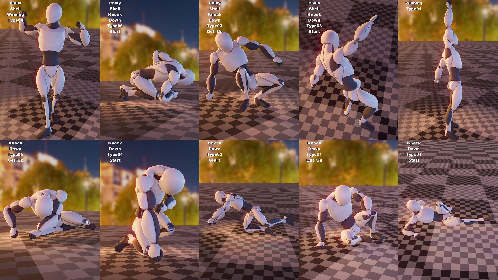 Boxing Animation Additional, 카테고리 애니메이션 - UE 마켓플레이스