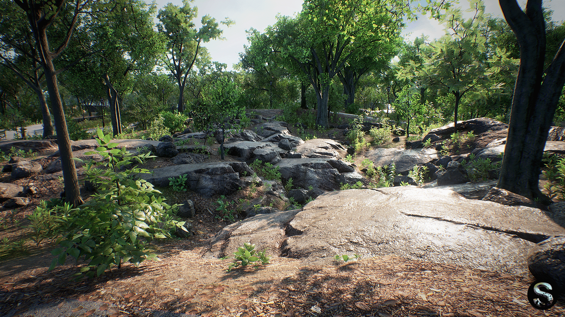 City Park Environment Collection