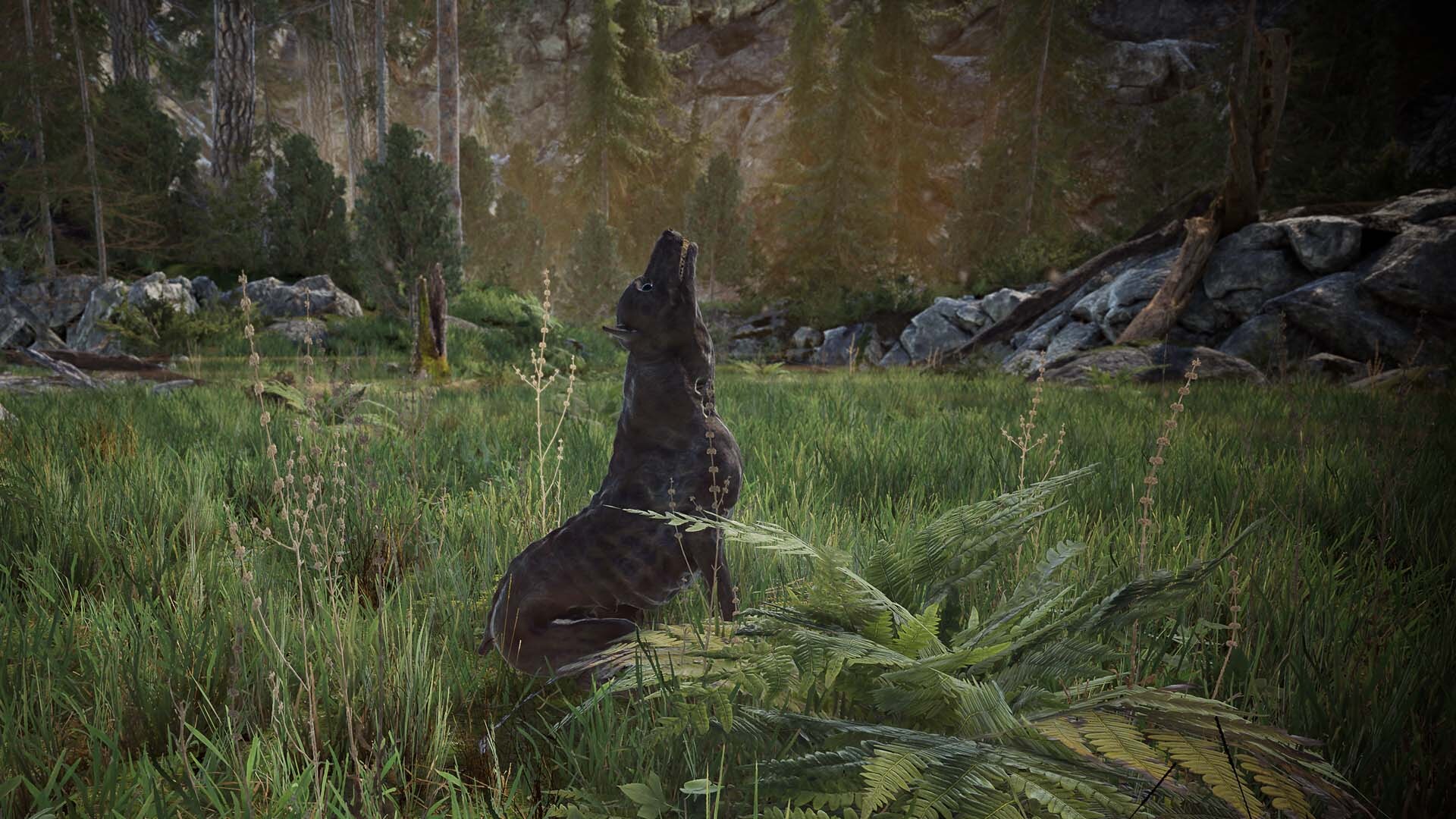 Demon Dog - Fantasy RPG Wolf Character in Characters - UE Marketplace