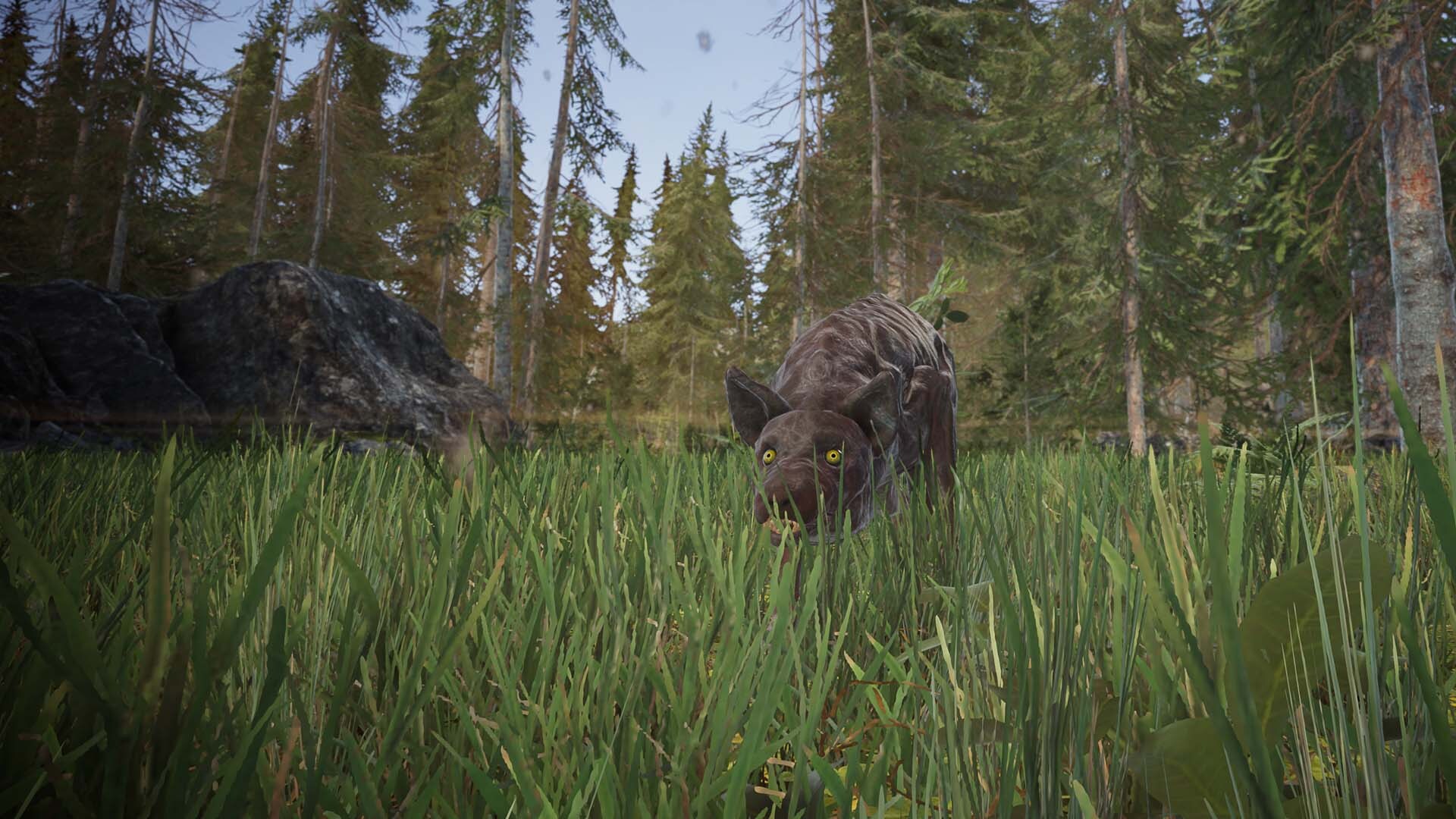 Demon Dog - Fantasy RPG Wolf Character in Characters - UE Marketplace