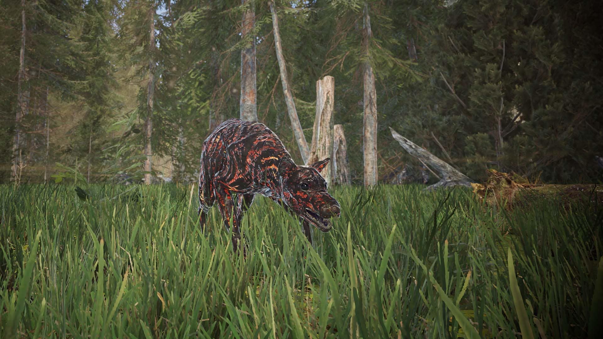 Demon Dog - Fantasy RPG Wolf Character in Characters - UE Marketplace