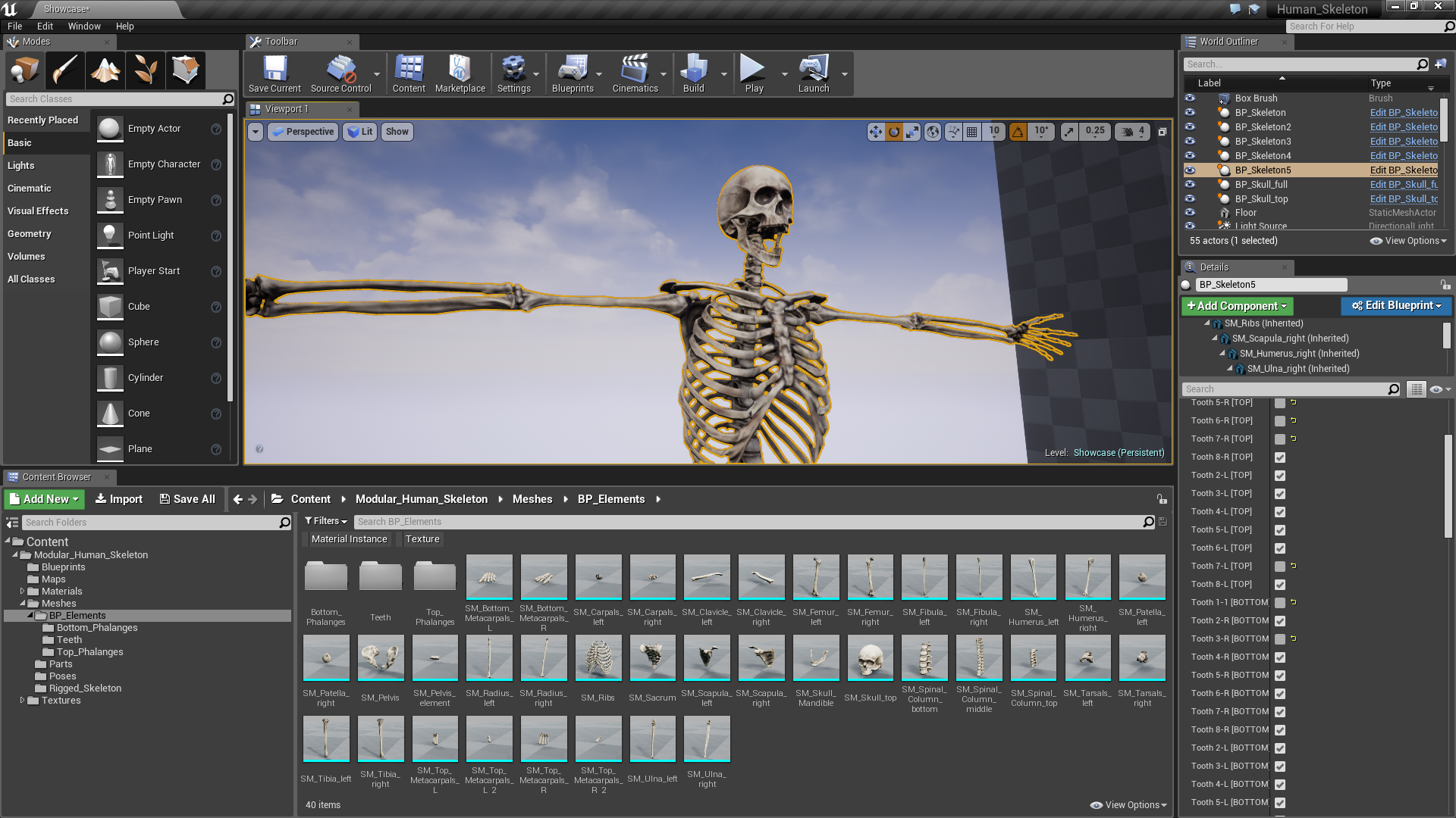 LEAKED GAME ASSETS - Modular Human Skeleton