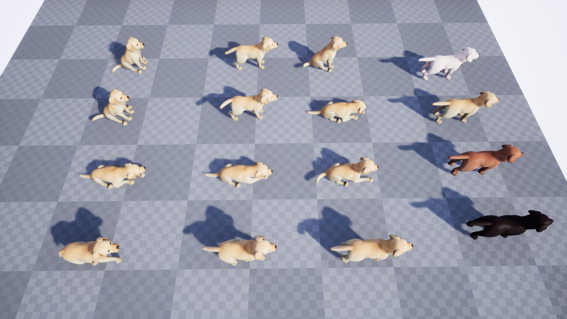 Dogs pack in Characters - UE Marketplace