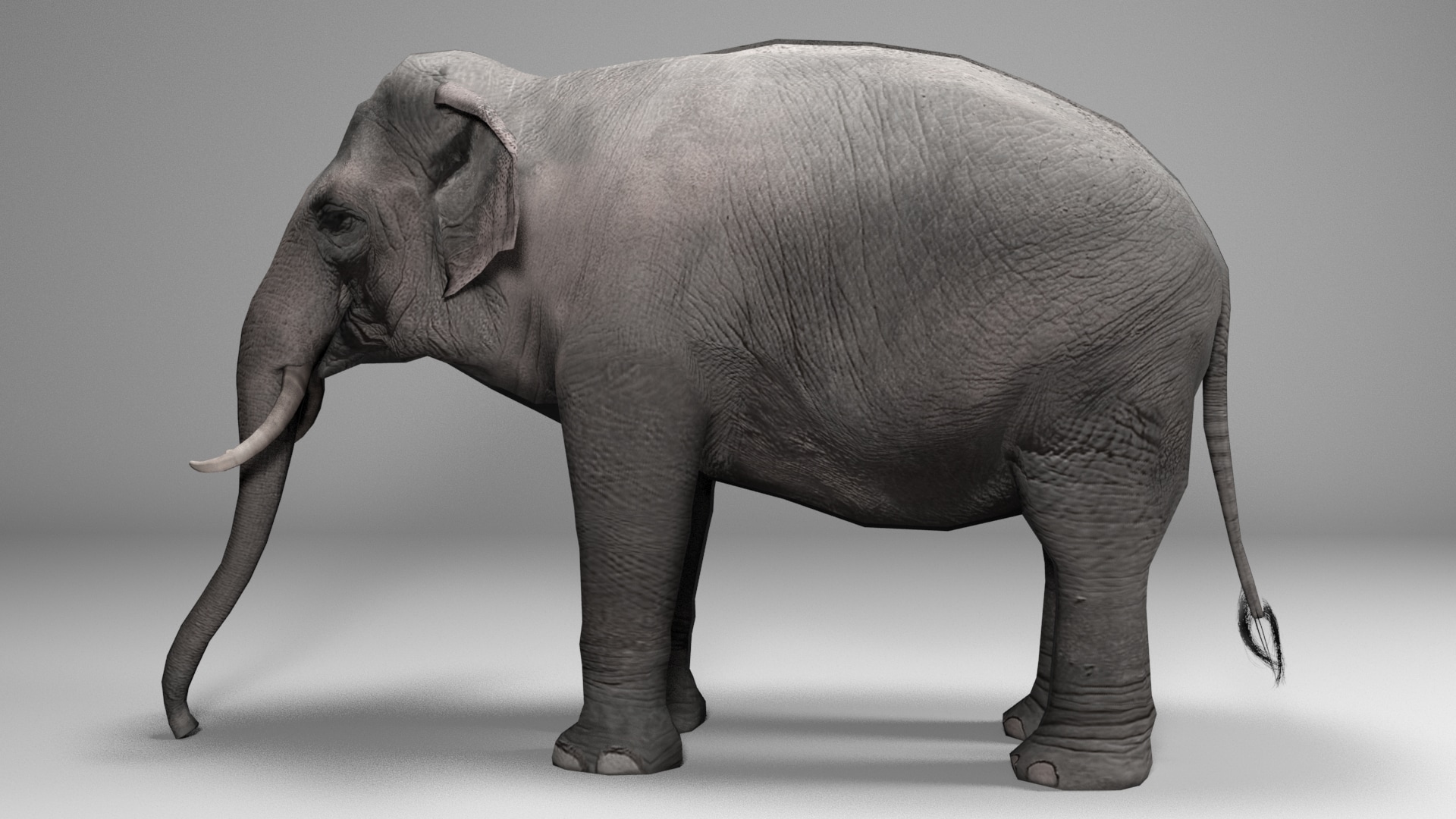Asian Elephant Animated in Characters - UE Marketplace