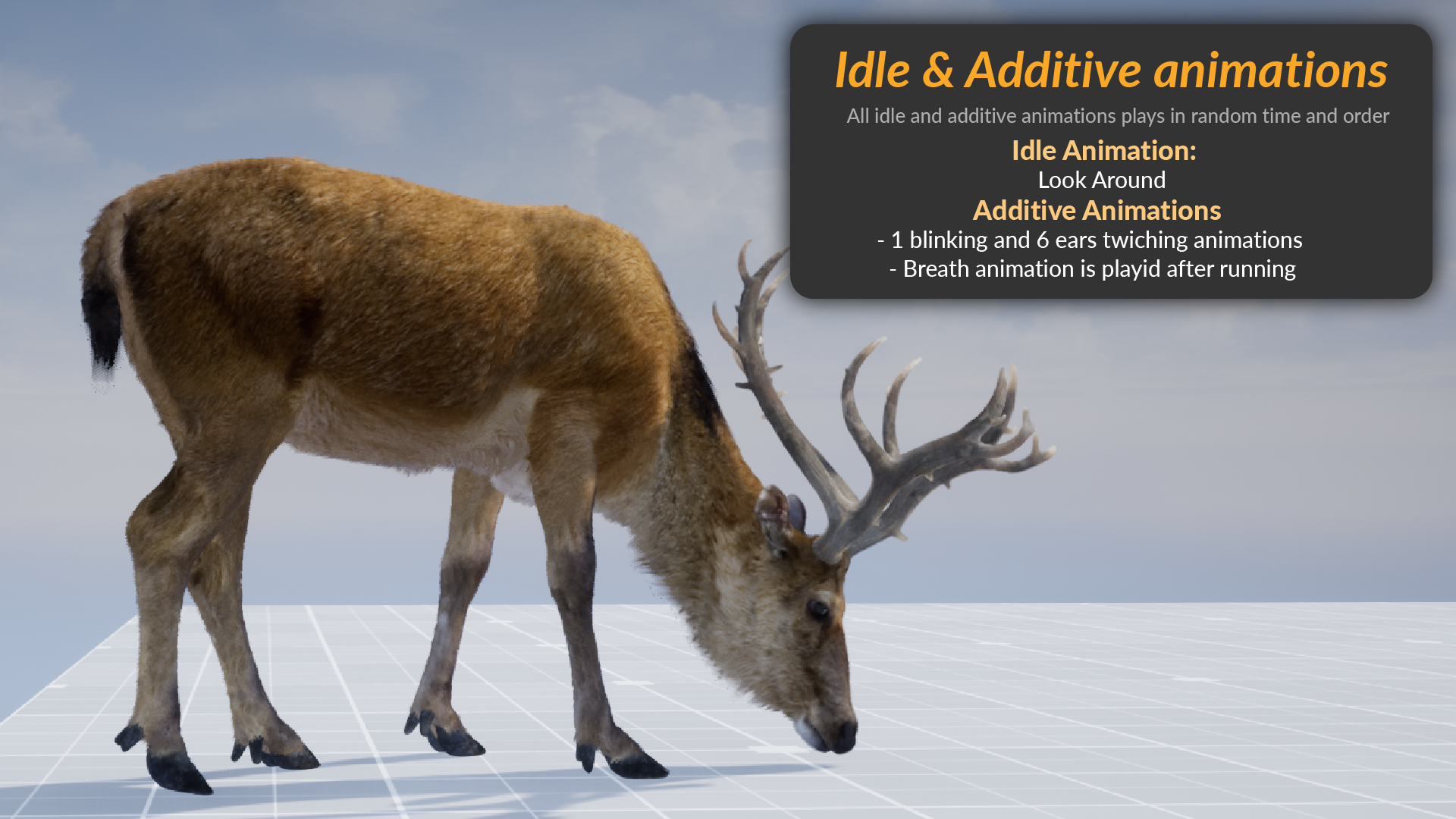 AnimX: Forest Animals