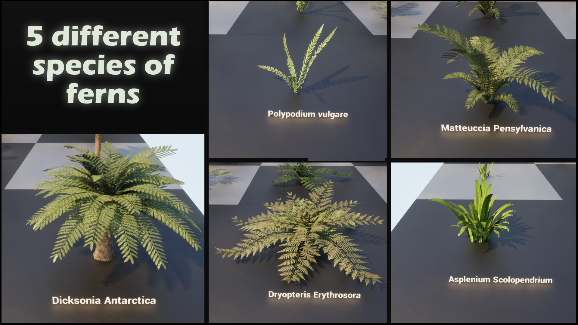 70 Ferns Mesh in Props - UE Marketplace