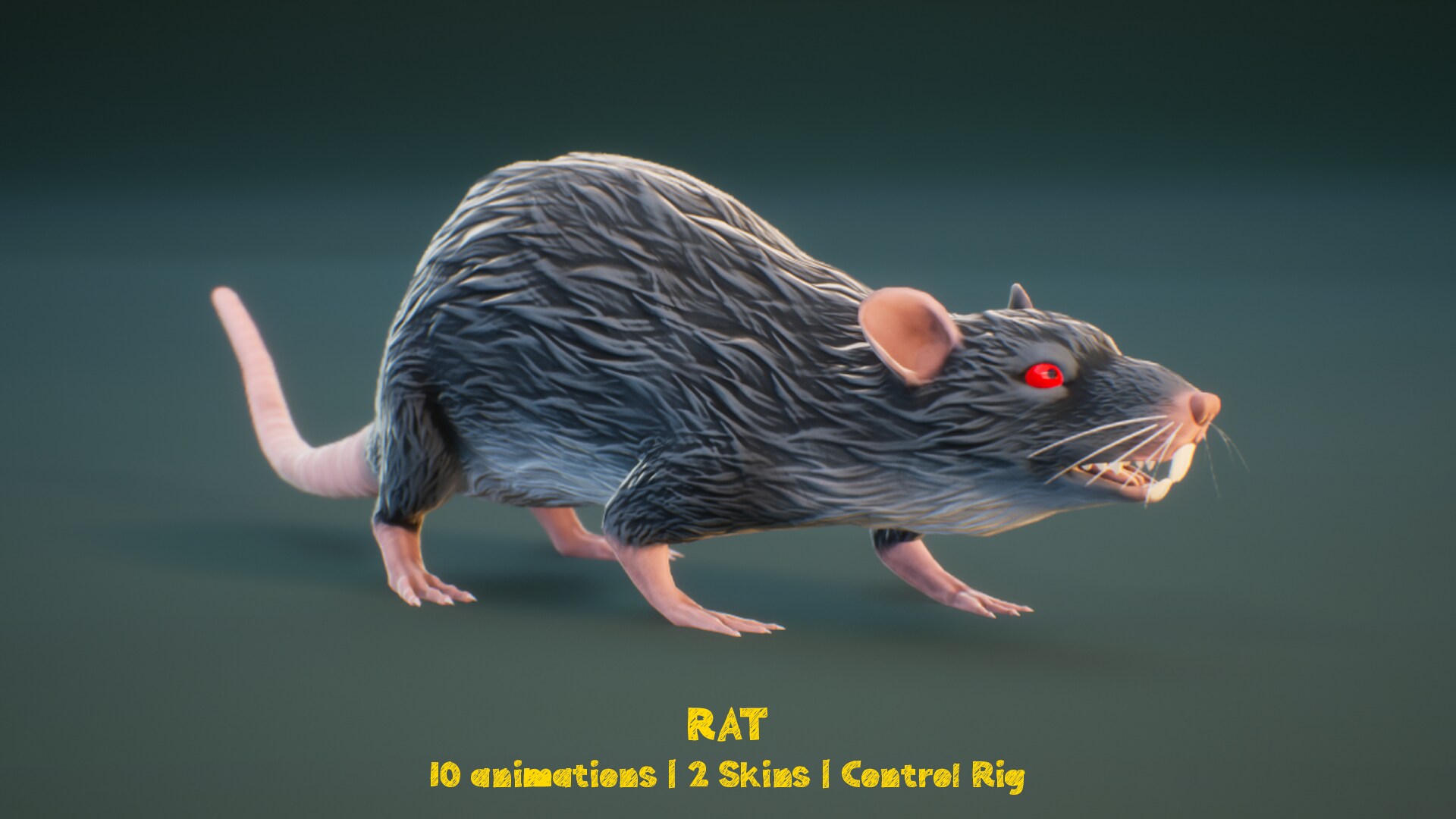 Rat, 카테고리 캐릭터 - UE 마켓플레이스