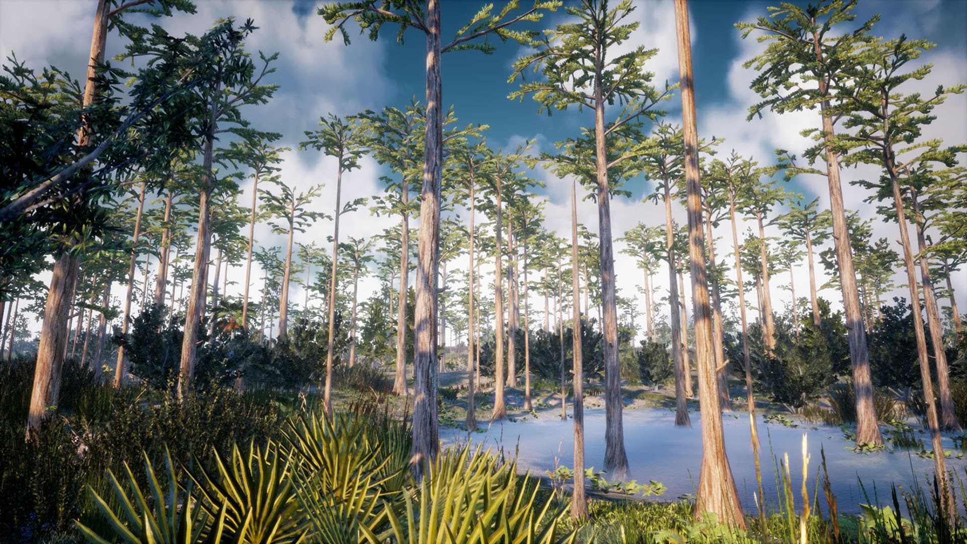 35 AR VR Southeastern US Plants and Ecosystems in Environments - UE ...