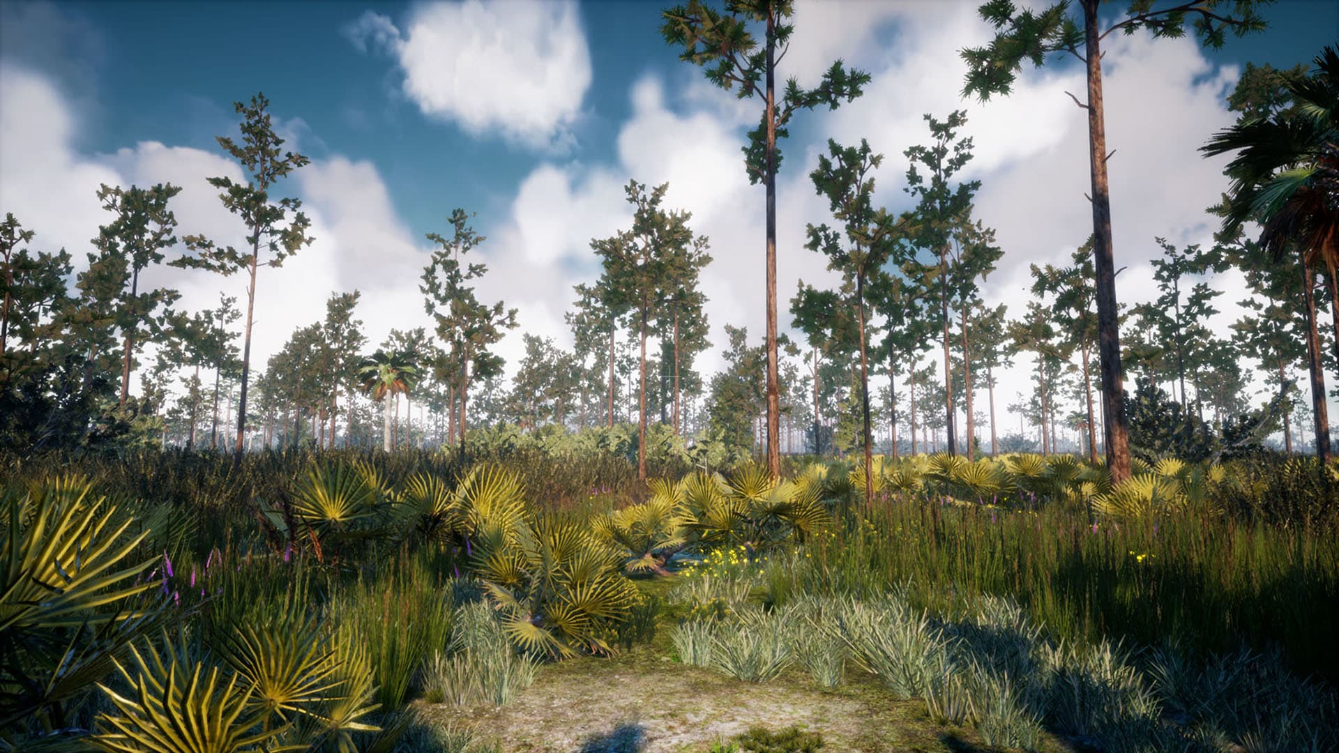 35 AR VR Southeastern US Plants and Ecosystems in Environments - UE ...