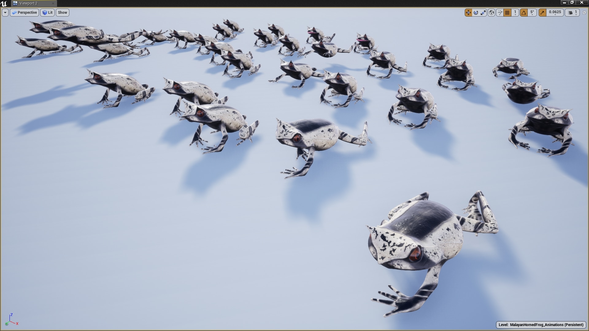 在角色创建的Animated Frogs Volume 4 - 虚幻引擎商城