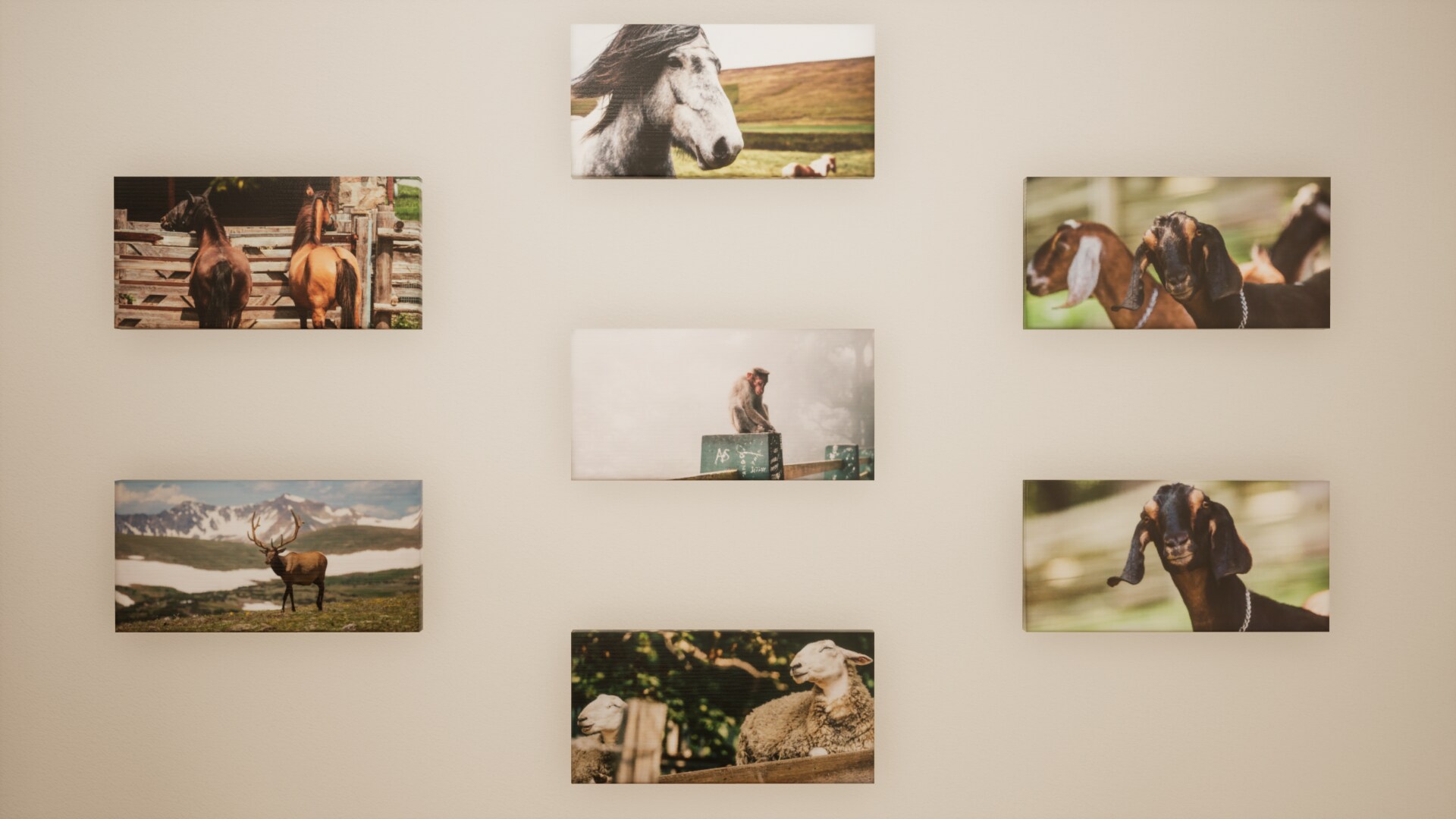 Animal & Pet Wall Art / Canvas / Portrait / Painting in Props - UE ...