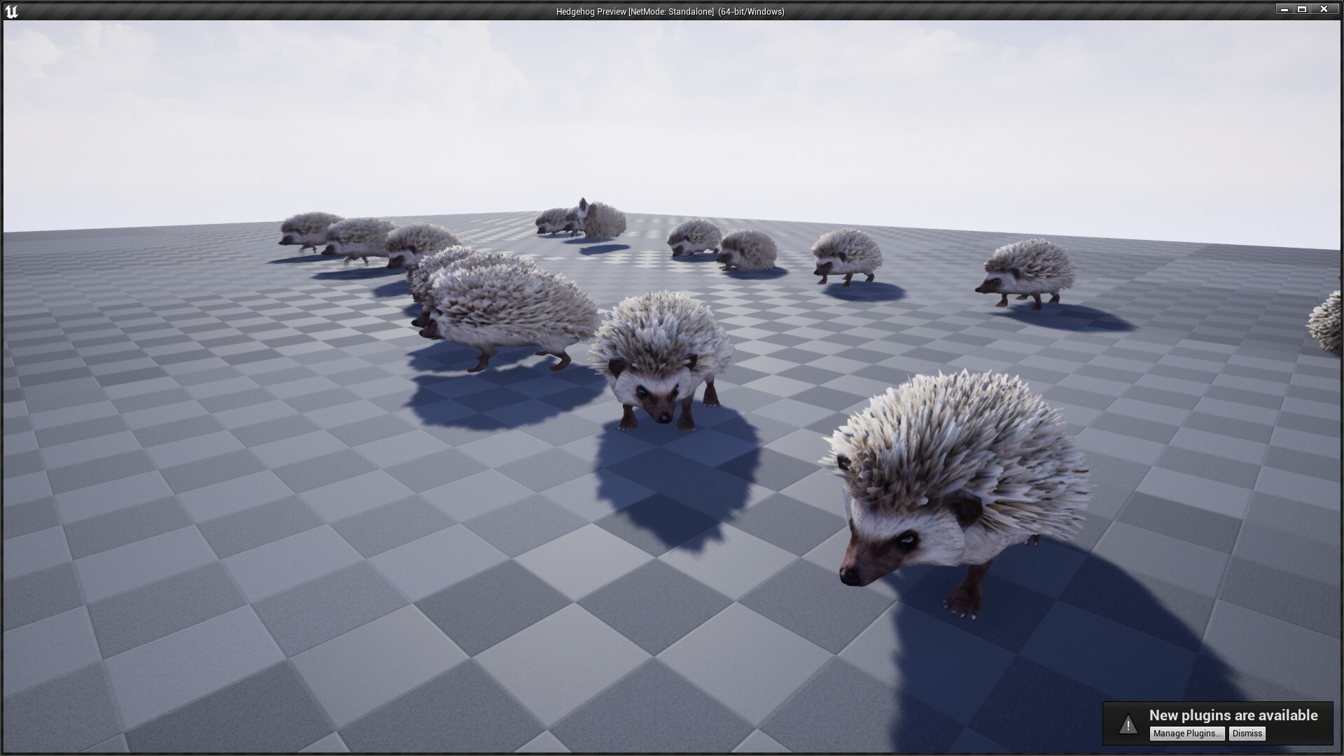 在角色创建的Hedgehog - 虚幻引擎商城