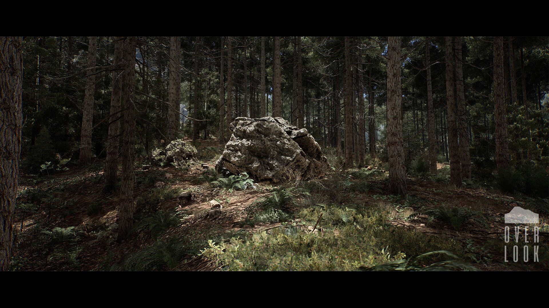 Central European Pine Forest in Environments - UE Marketplace