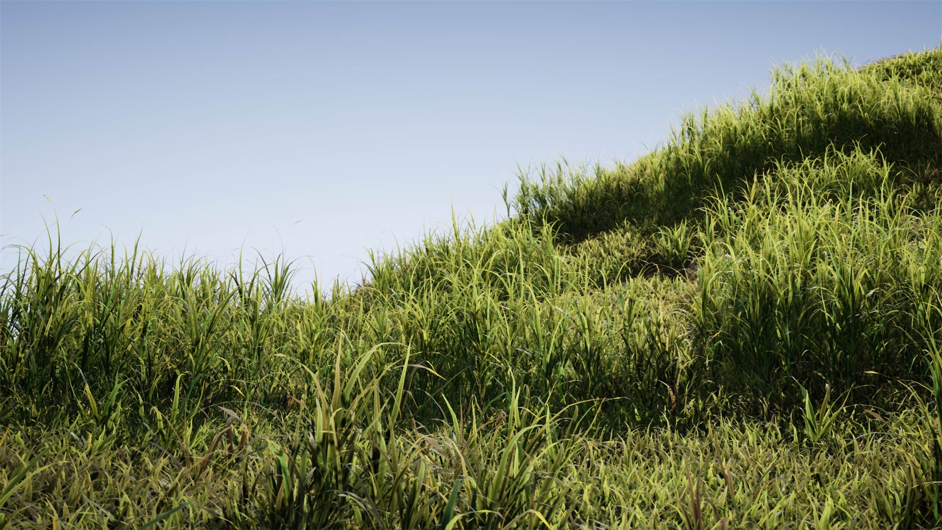 Grass Pack in Environments - UE Marketplace