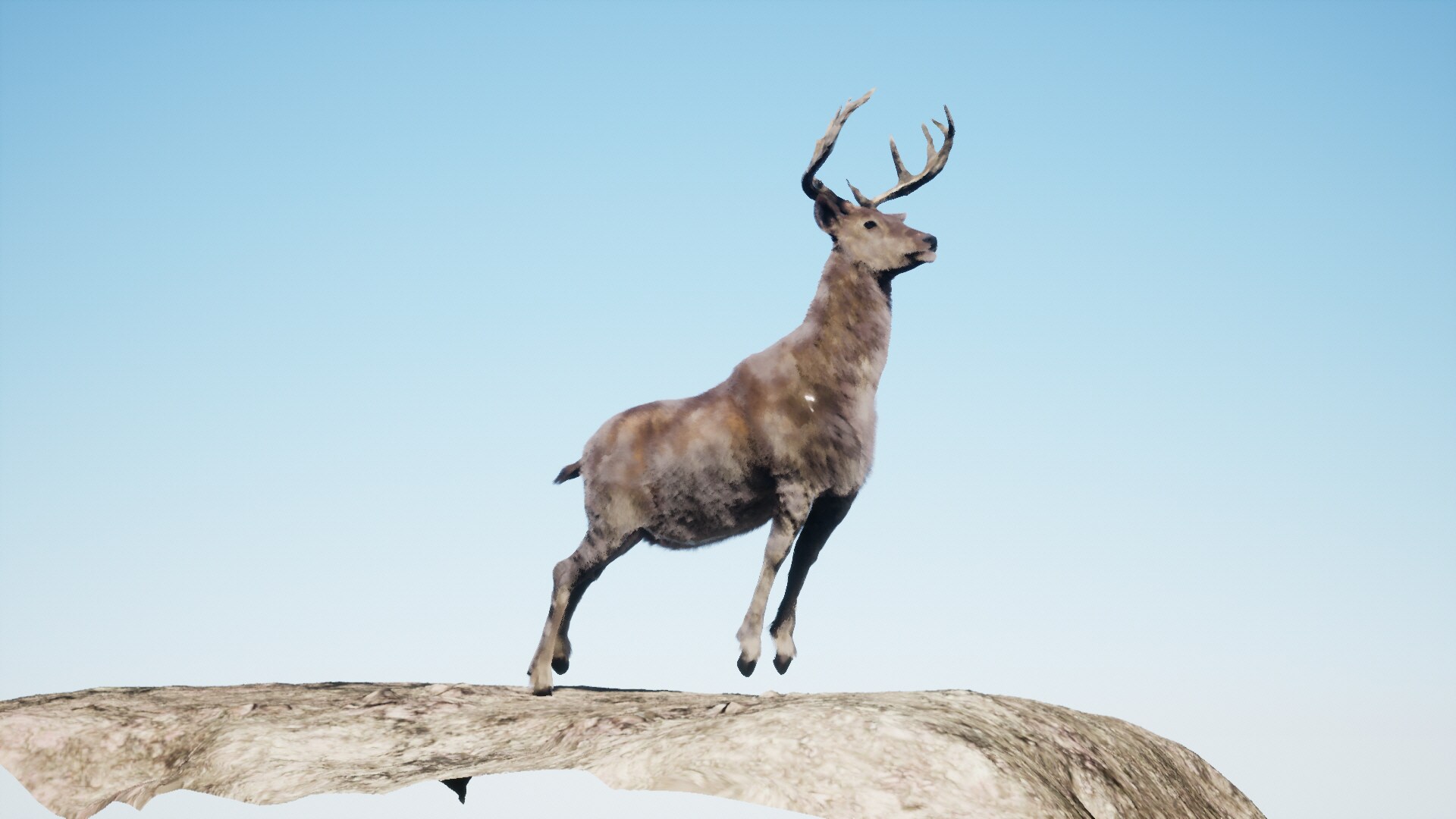 Deer in Characters - UE Marketplace