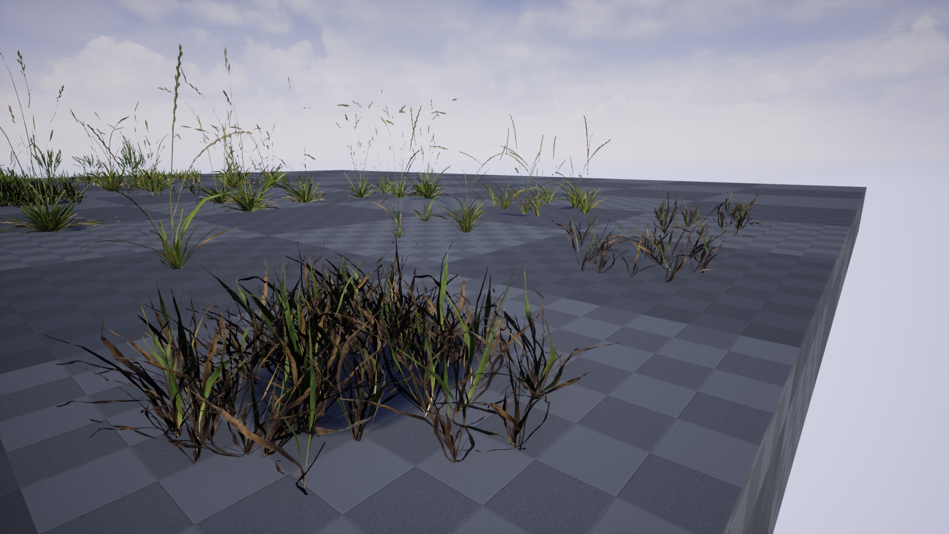 Megascans - Garden Lawn in Megascans - UE Marketplace