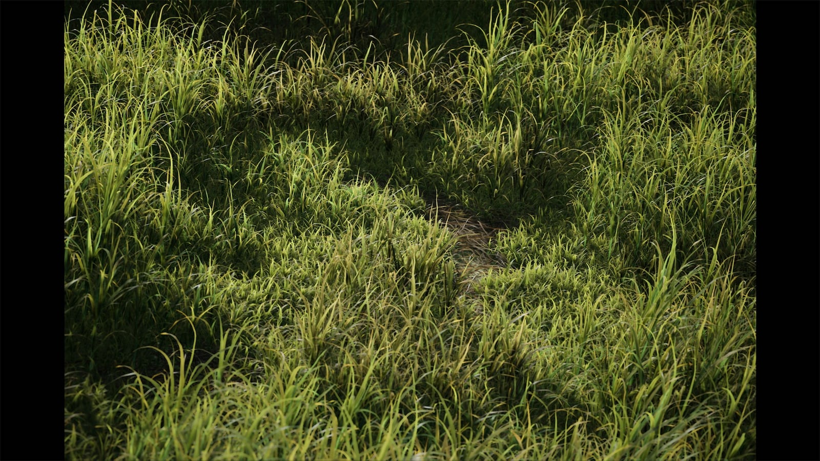 Grass Pack in Environments - UE Marketplace