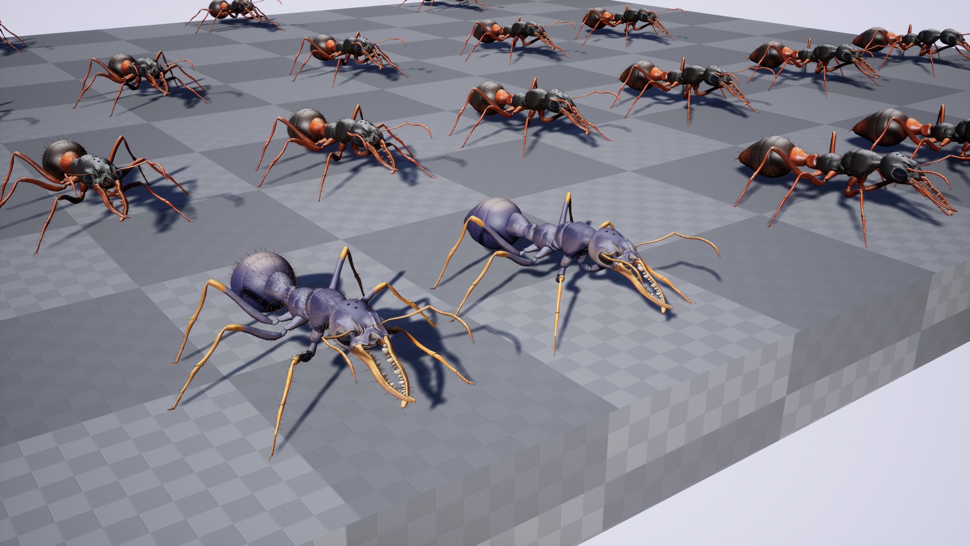 Insect_Packaging in Characters - UE Marketplace