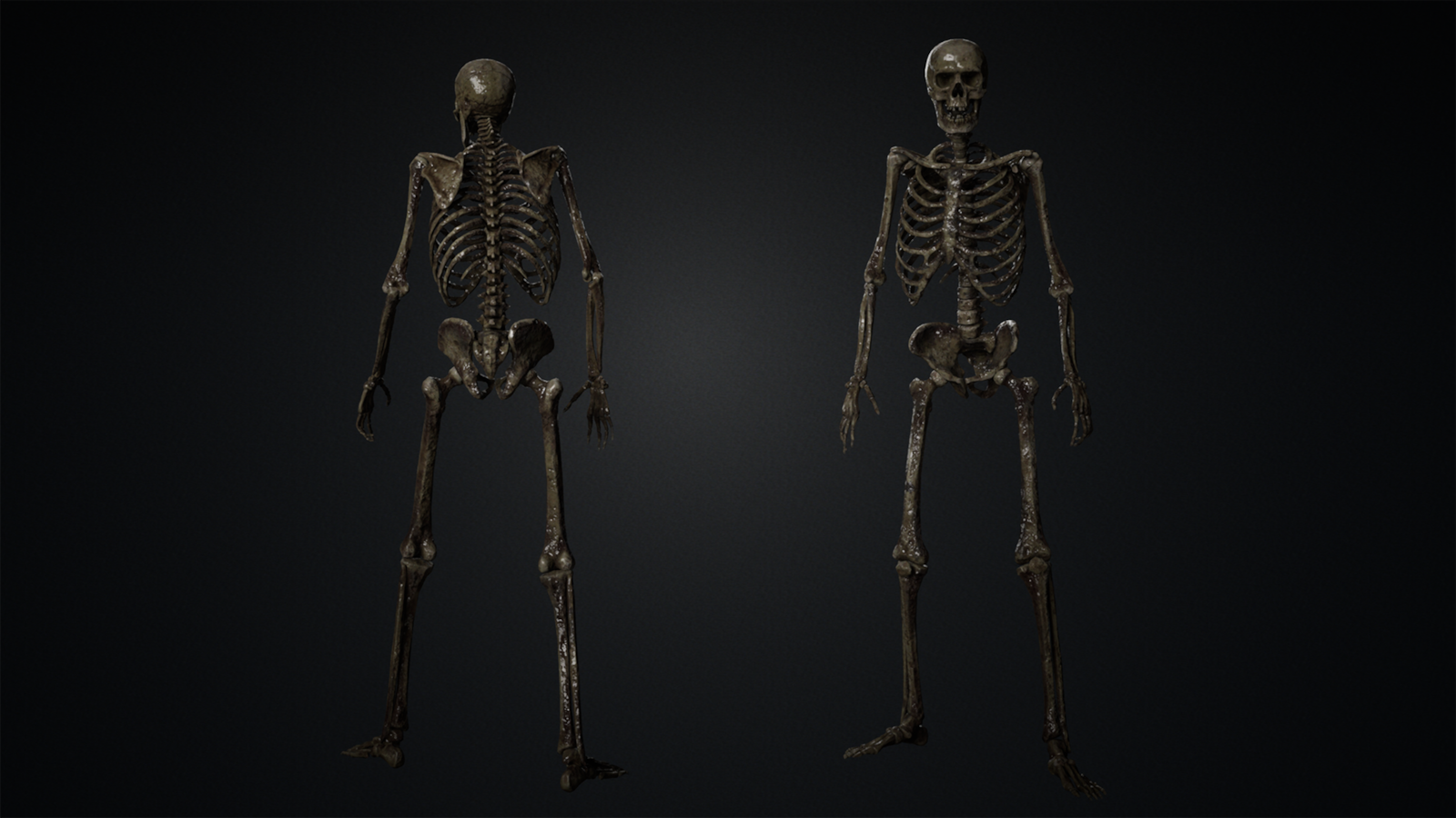 Undead Skeleton Character in Characters - UE Marketplace