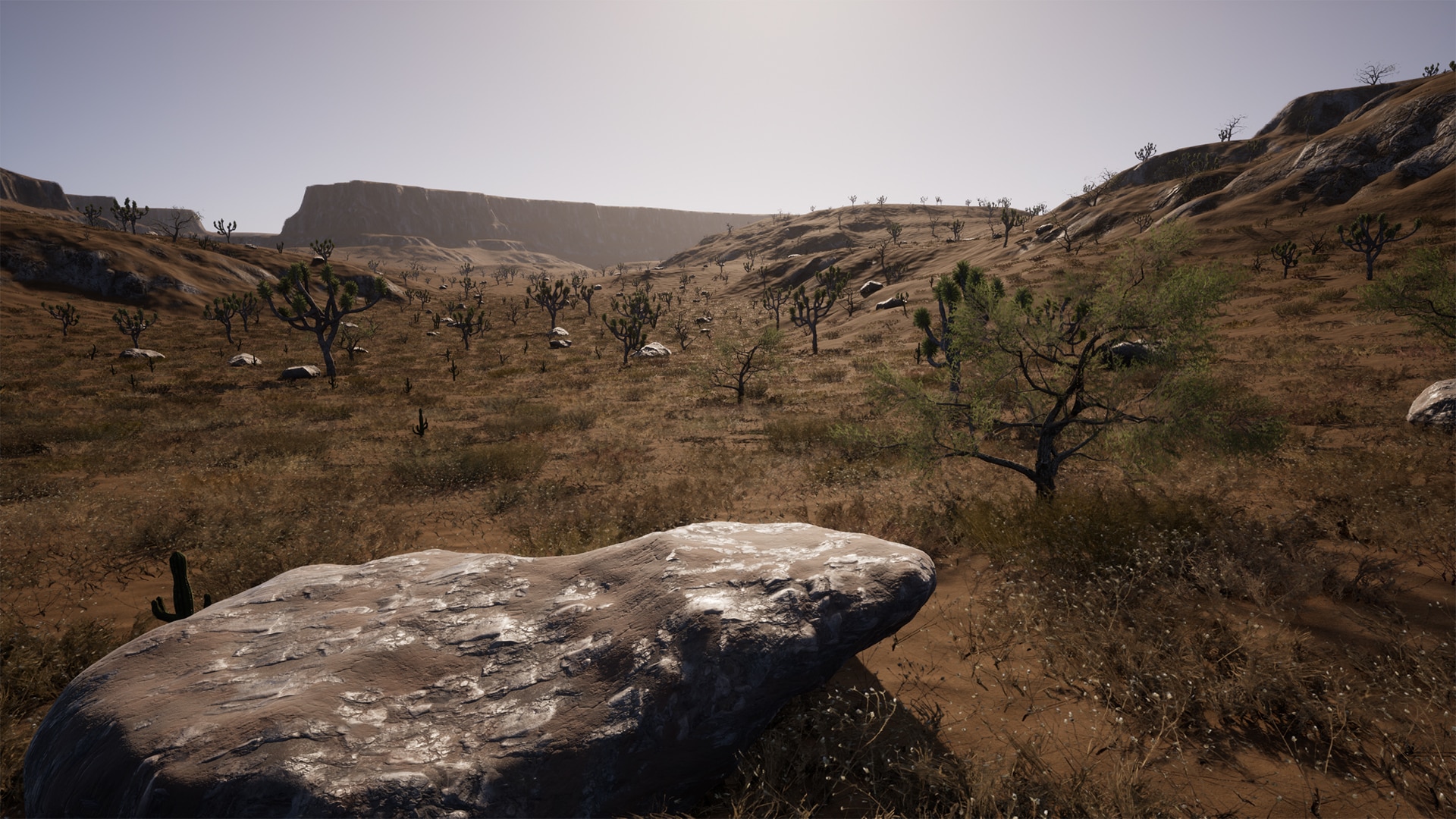 在环境创建的Canyon Procedural Ecosystem - 虚幻引擎商城