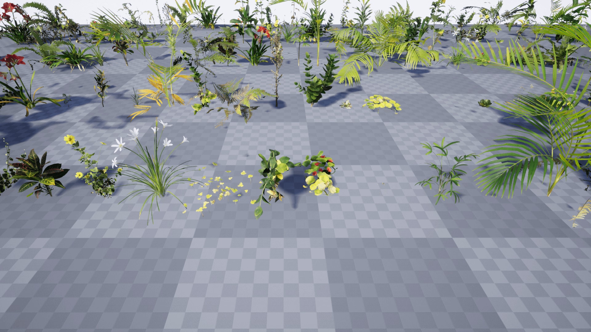 Megascans - Lush Plants in Megascans - UE Marketplace