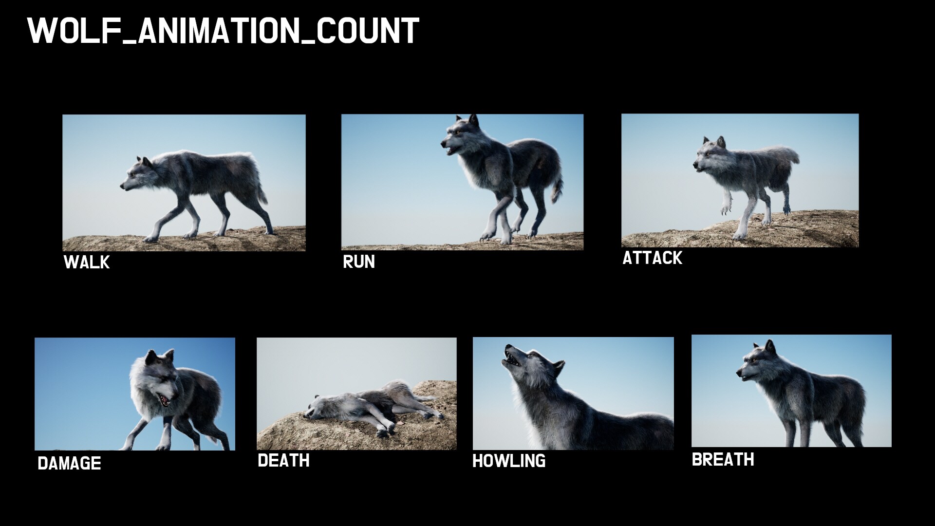 Wolf in Characters - UE Marketplace