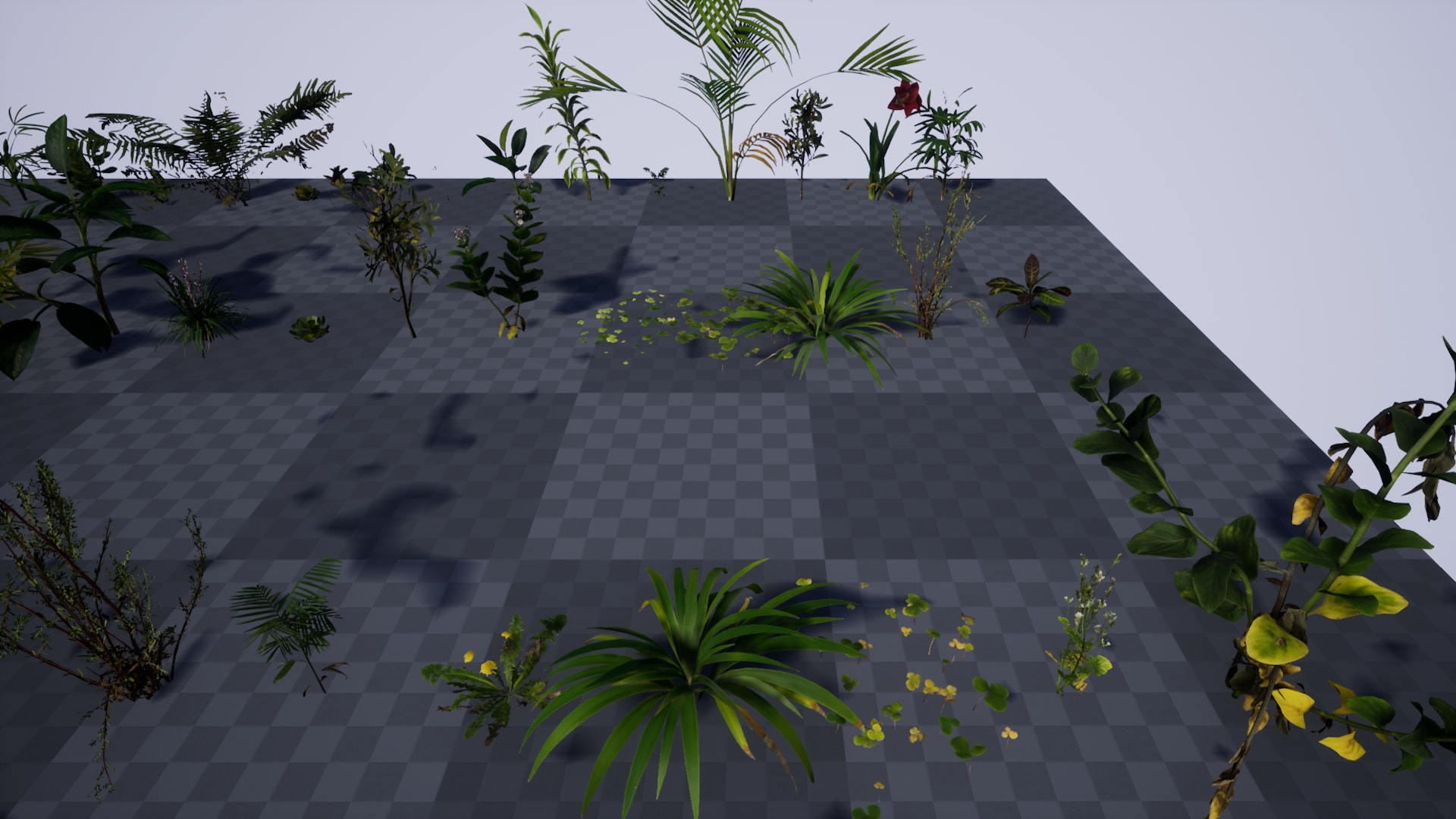 Megascans - Lush Plants in Megascans - UE Marketplace
