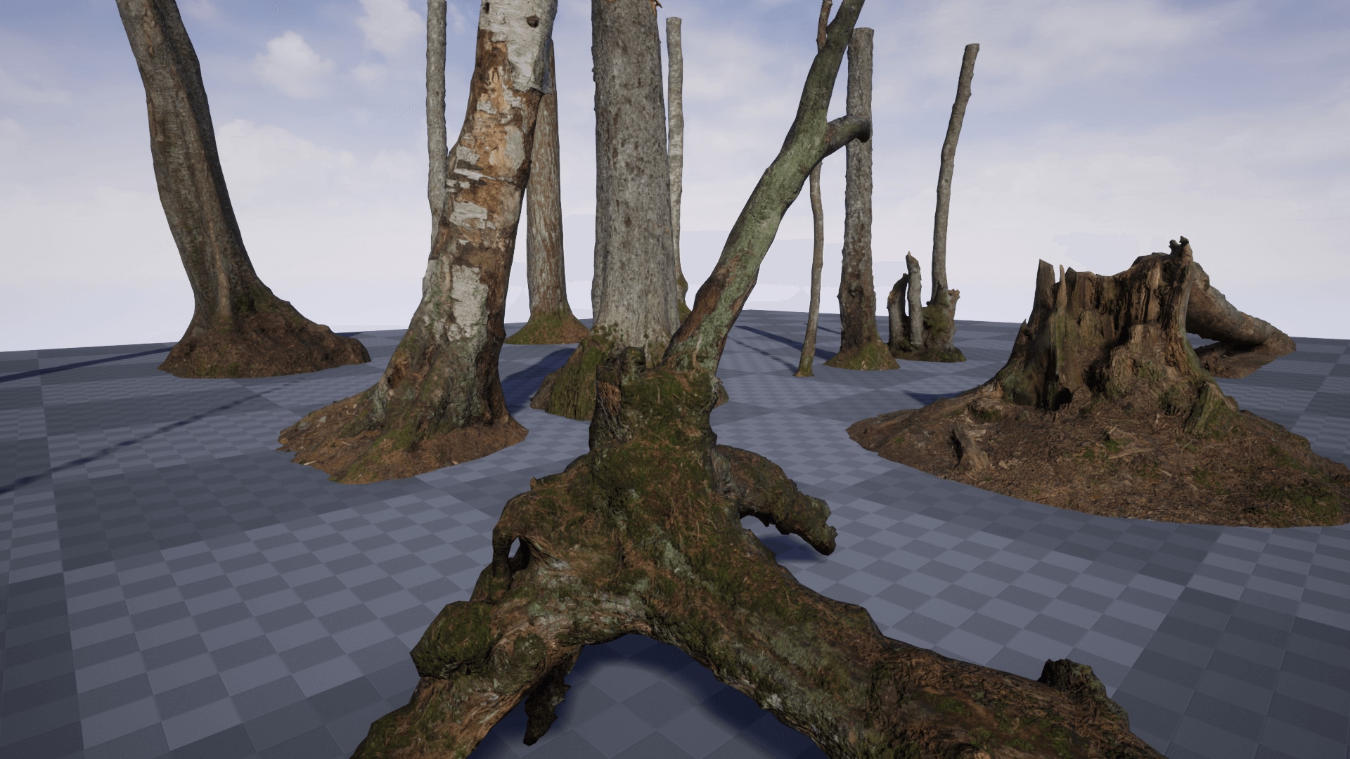 Megascans - Nordic Forest Vol. 2 in Megascans - UE Marketplace