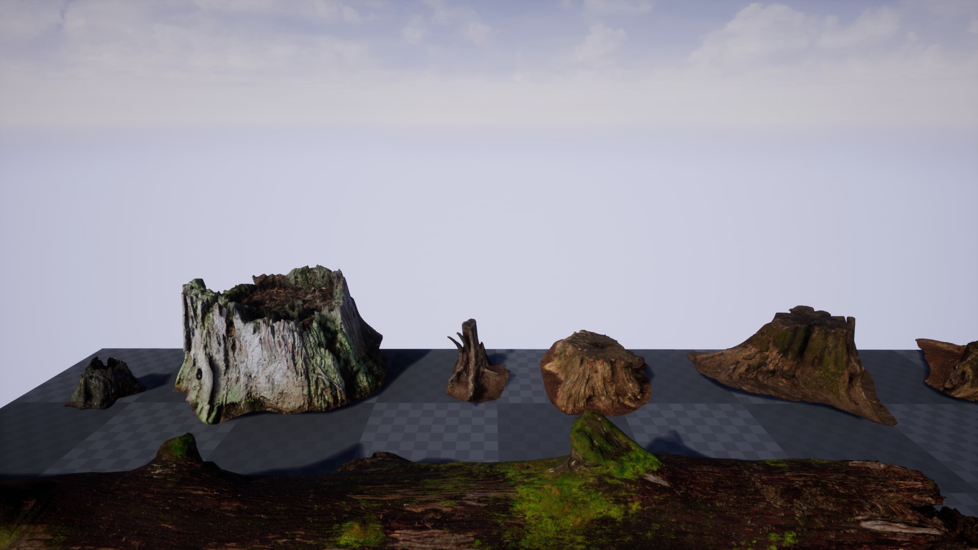 Megascans - Stump in Megascans - UE Marketplace