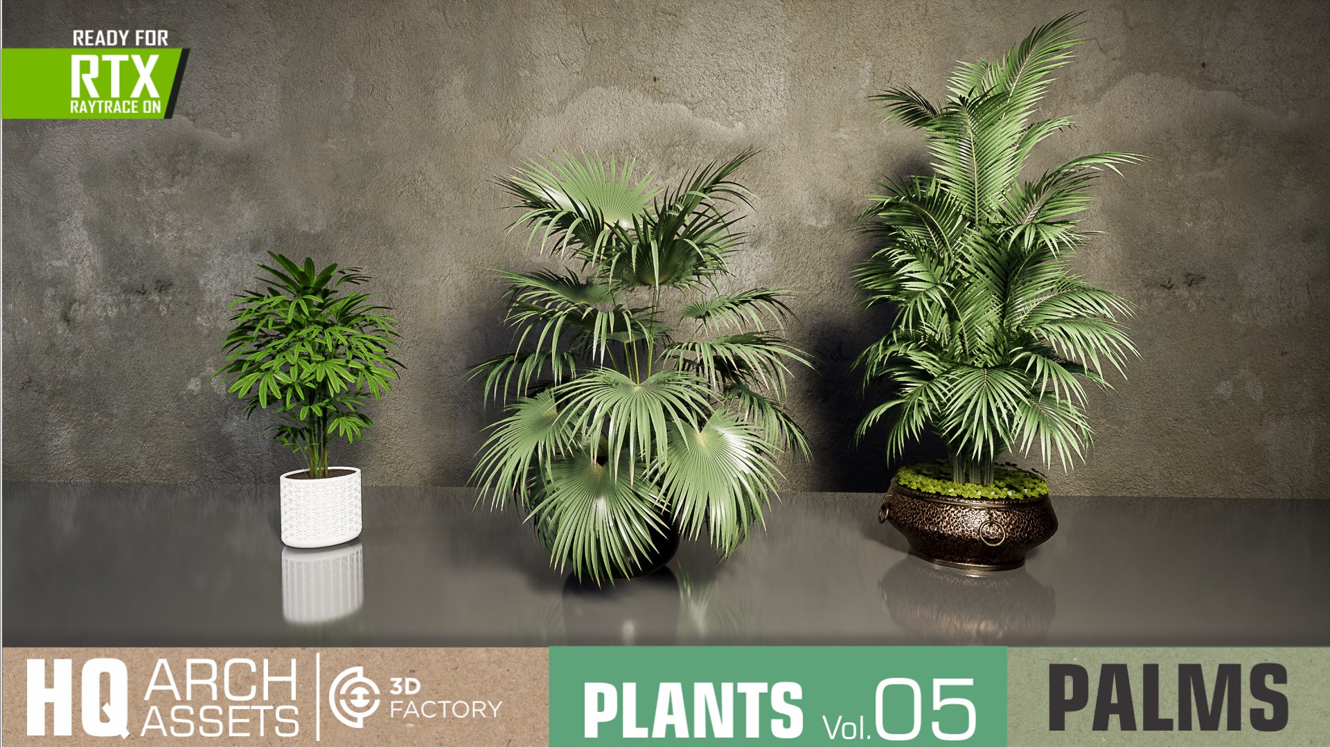 HQ Plants Vol. 5 ( Palms ), 카테고리 건축 시각화 - UE 마켓플레이스