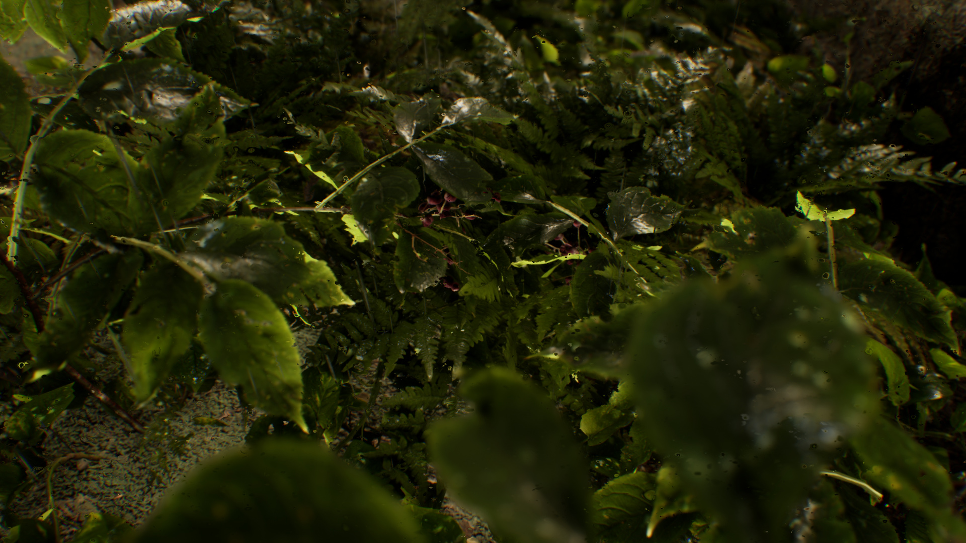 image-1