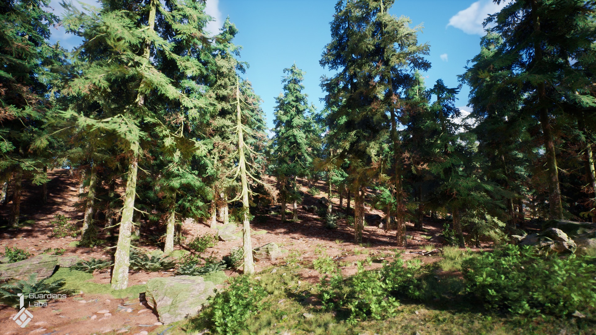 Norway Spruce Tree Pack, Picea Abies in Props - UE Marketplace