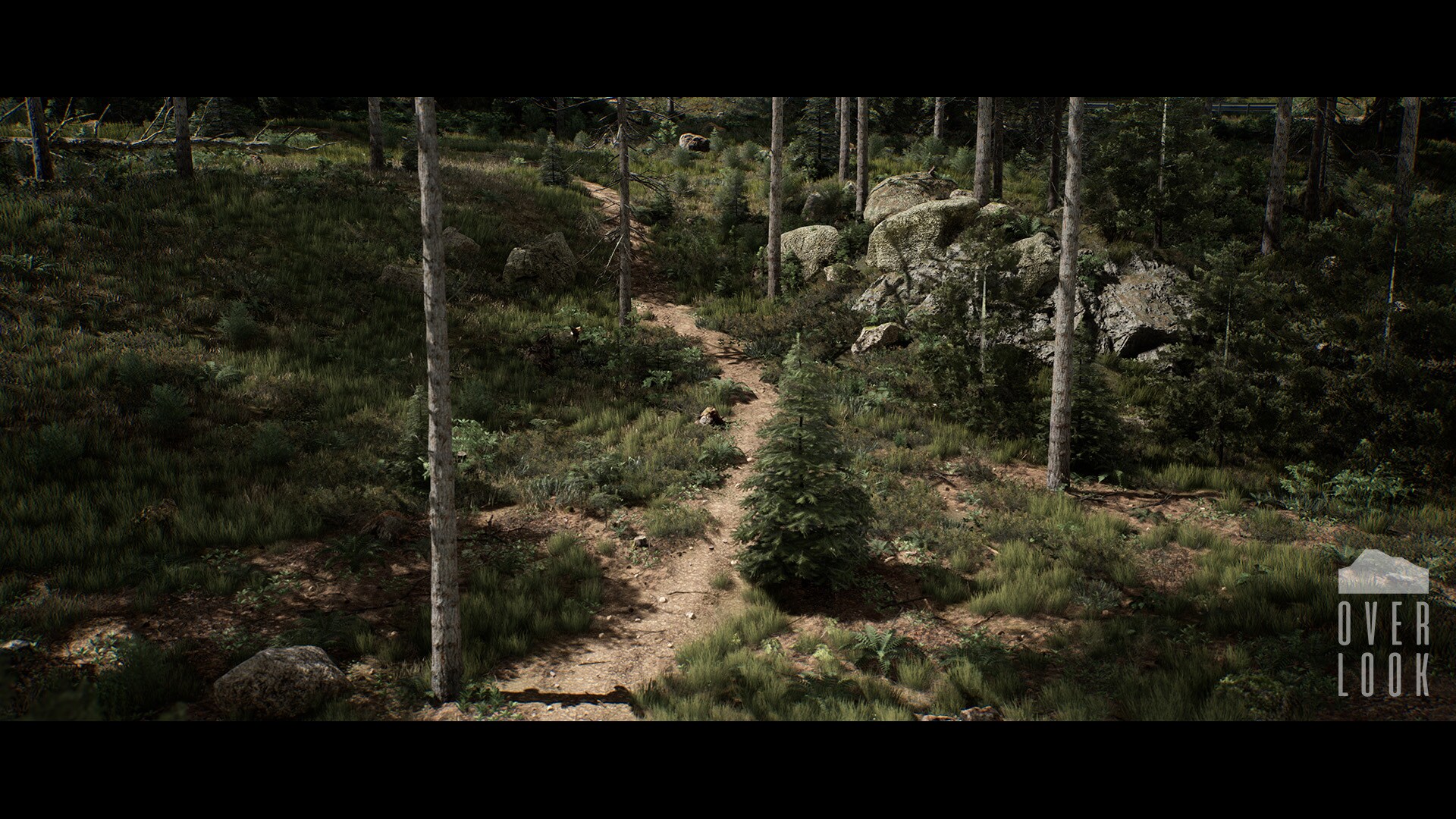 Central European Pine Forest in Environments - UE Marketplace