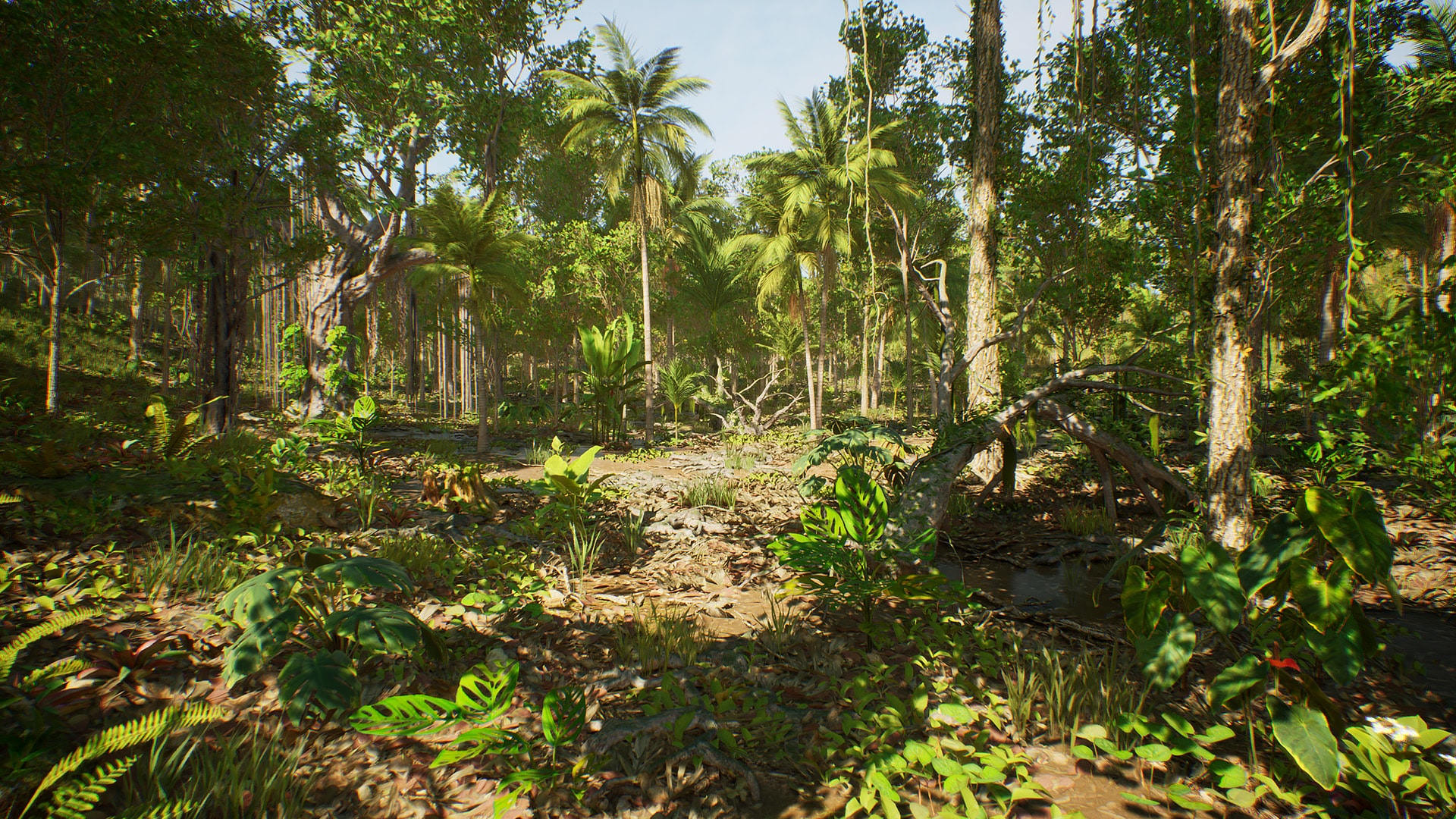 UCreate - Tropical Islands Jungle Forest in Environments - UE Marketplace