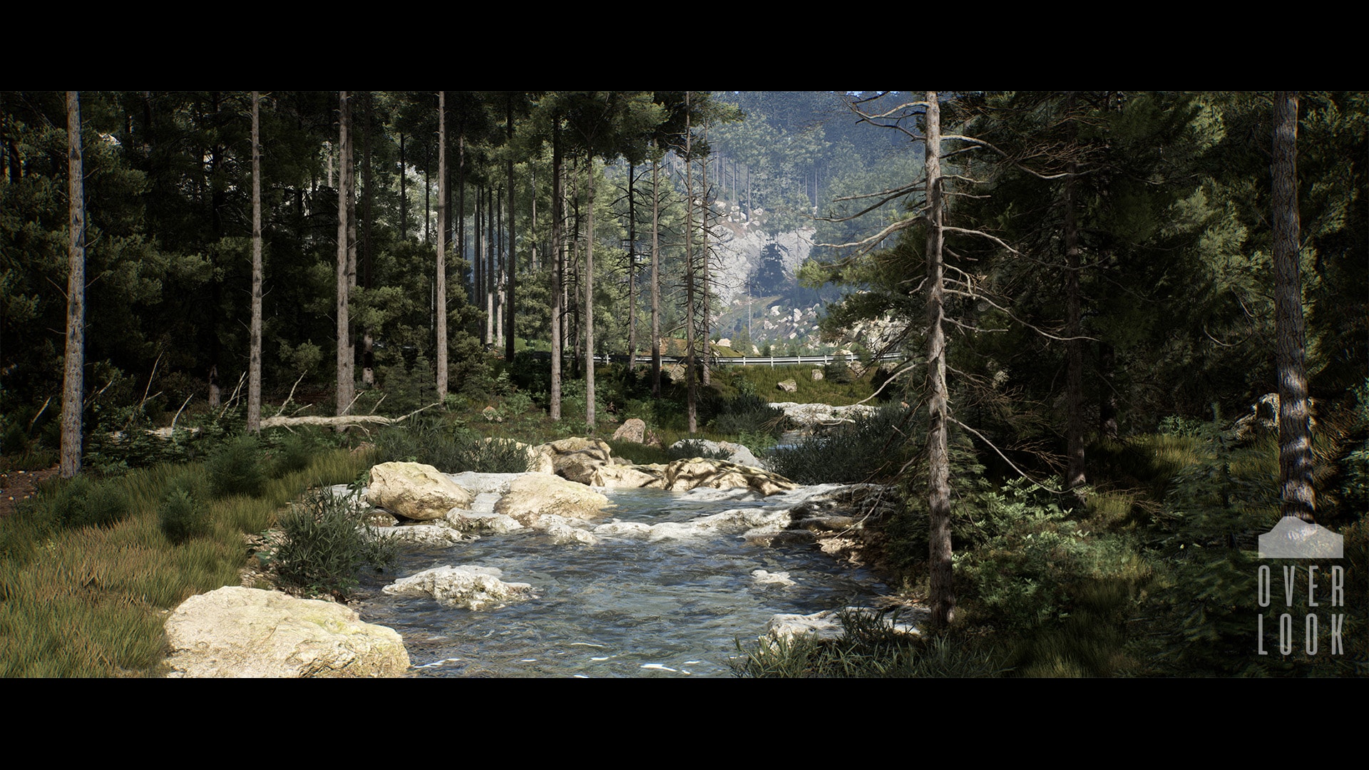 Central European Pine Forest in Environments - UE Marketplace