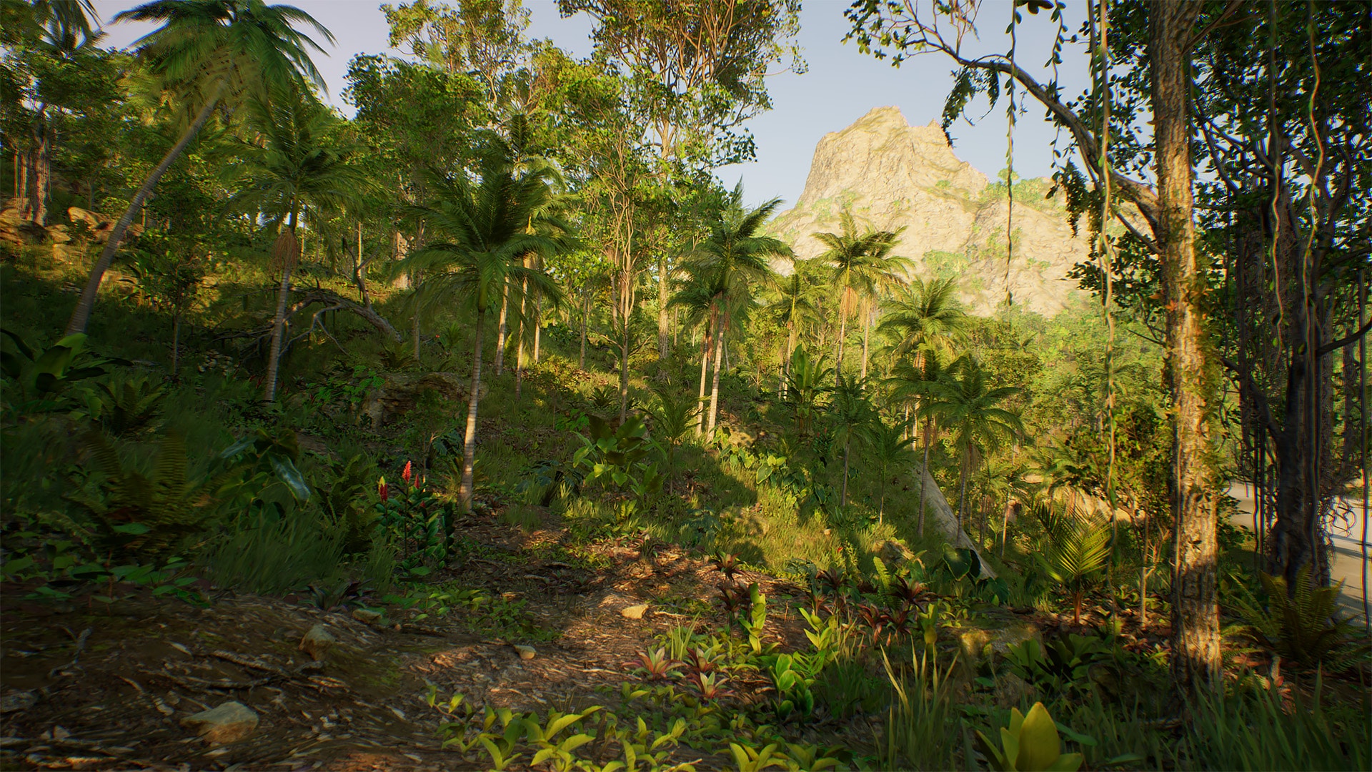 UCreate - Tropical Islands Jungle Forest in Environments - UE Marketplace