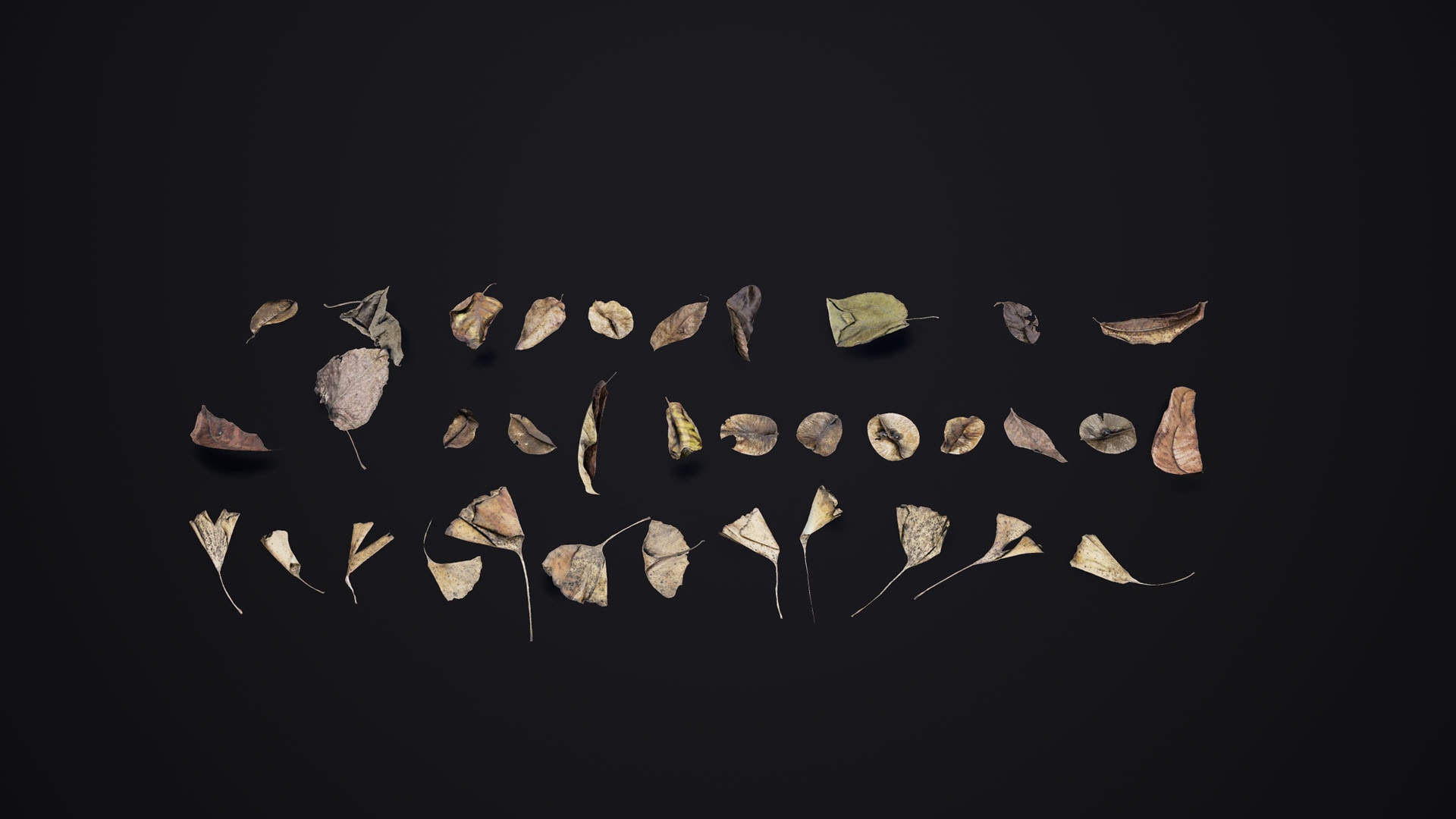 Realistic Grass Pack2 in Environments - UE Marketplace