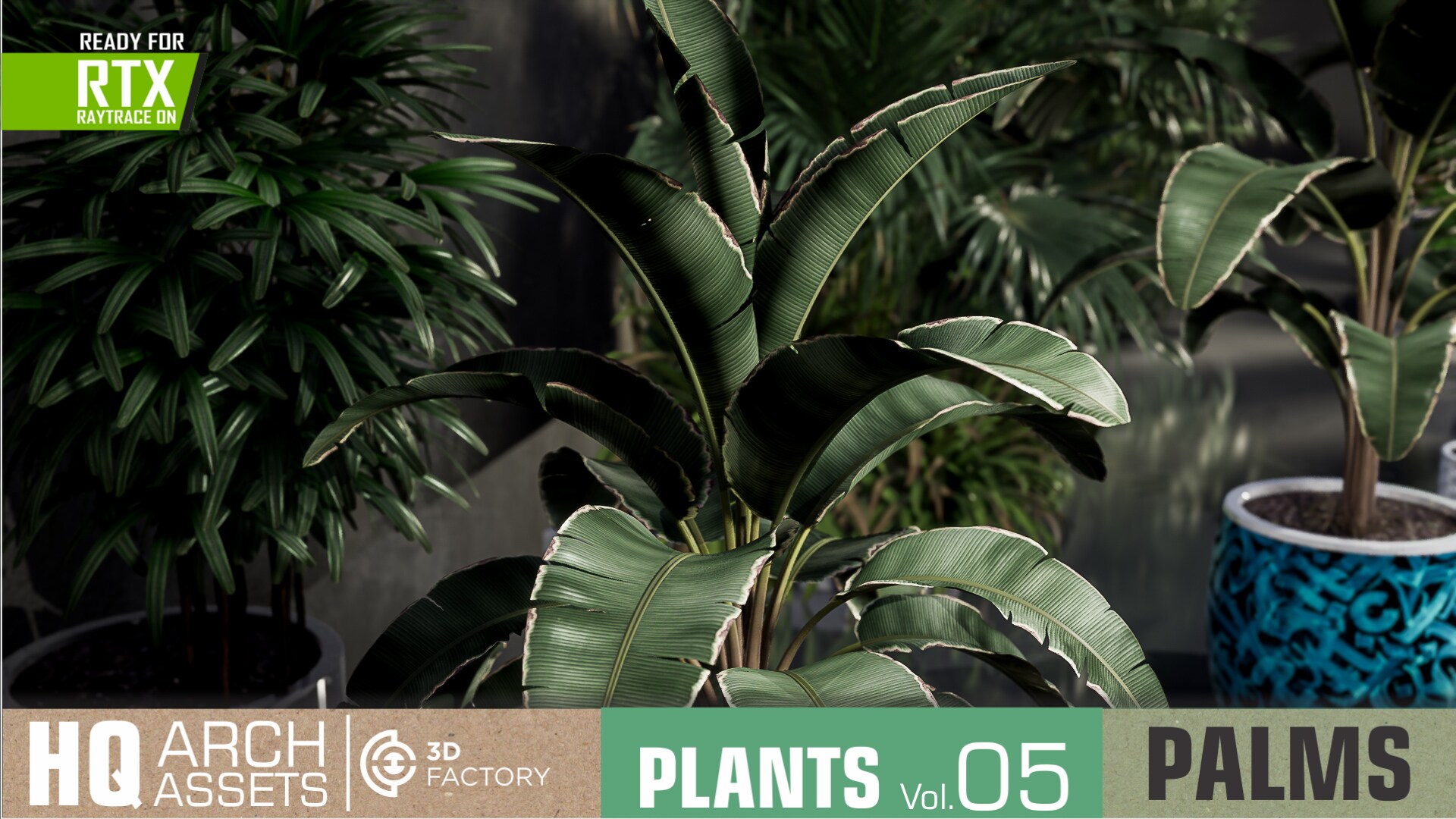 HQ Plants Vol. 5 ( Palms ), 카테고리 건축 시각화 - UE 마켓플레이스