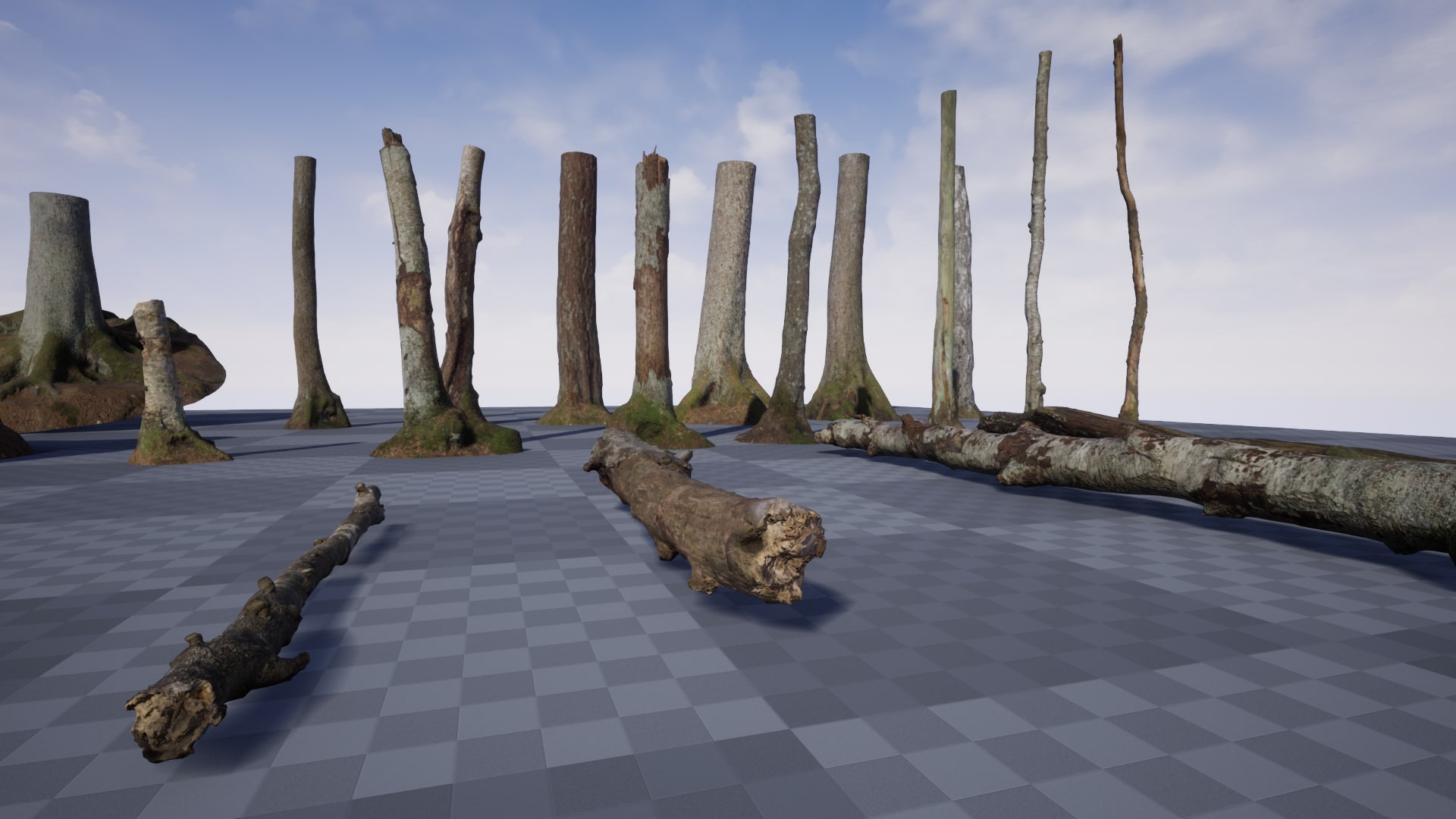 Megascans - Nordic Forest Vol. 3 in Megascans - UE Marketplace